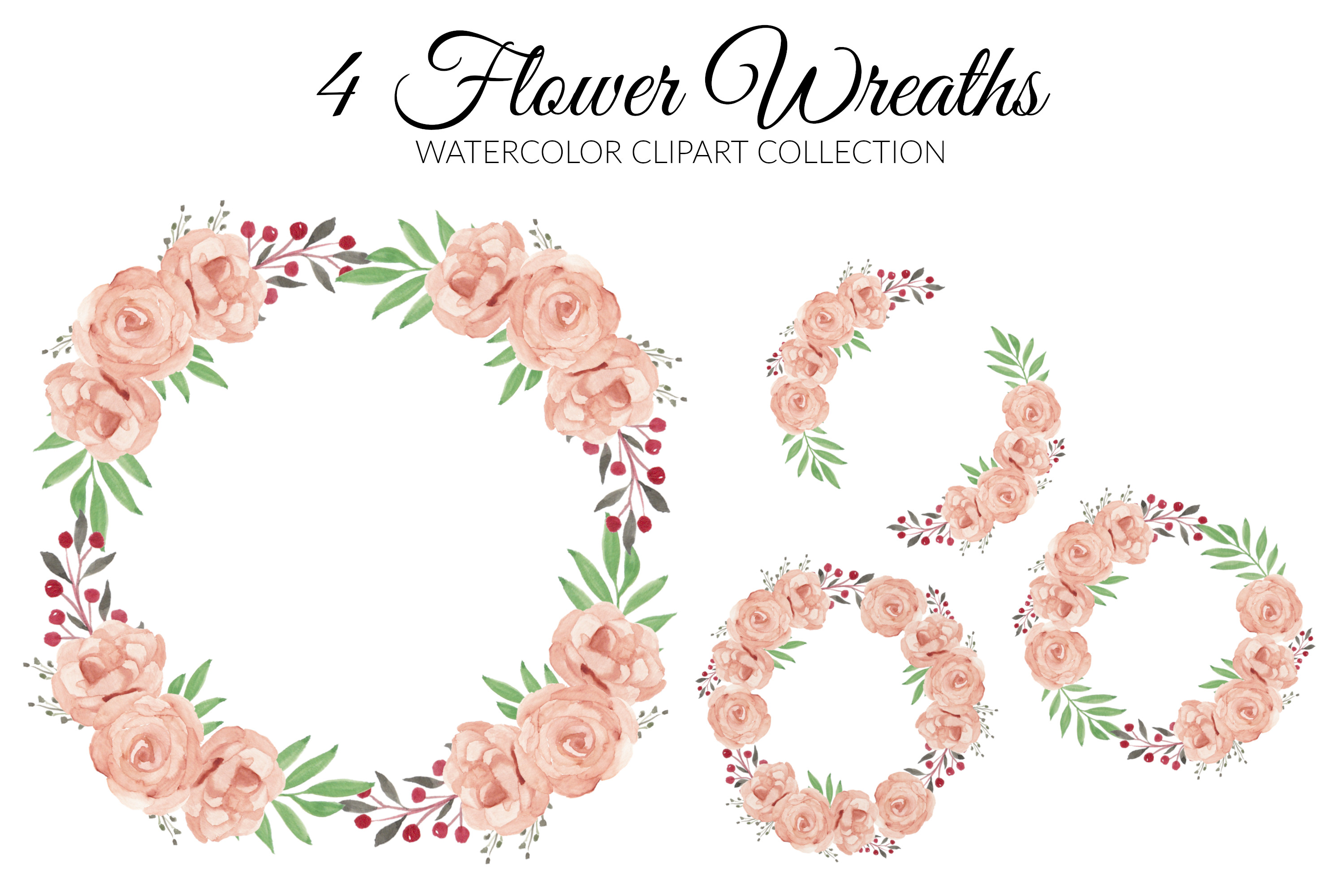Beige Rose Flower Watercolor Clipart Collection