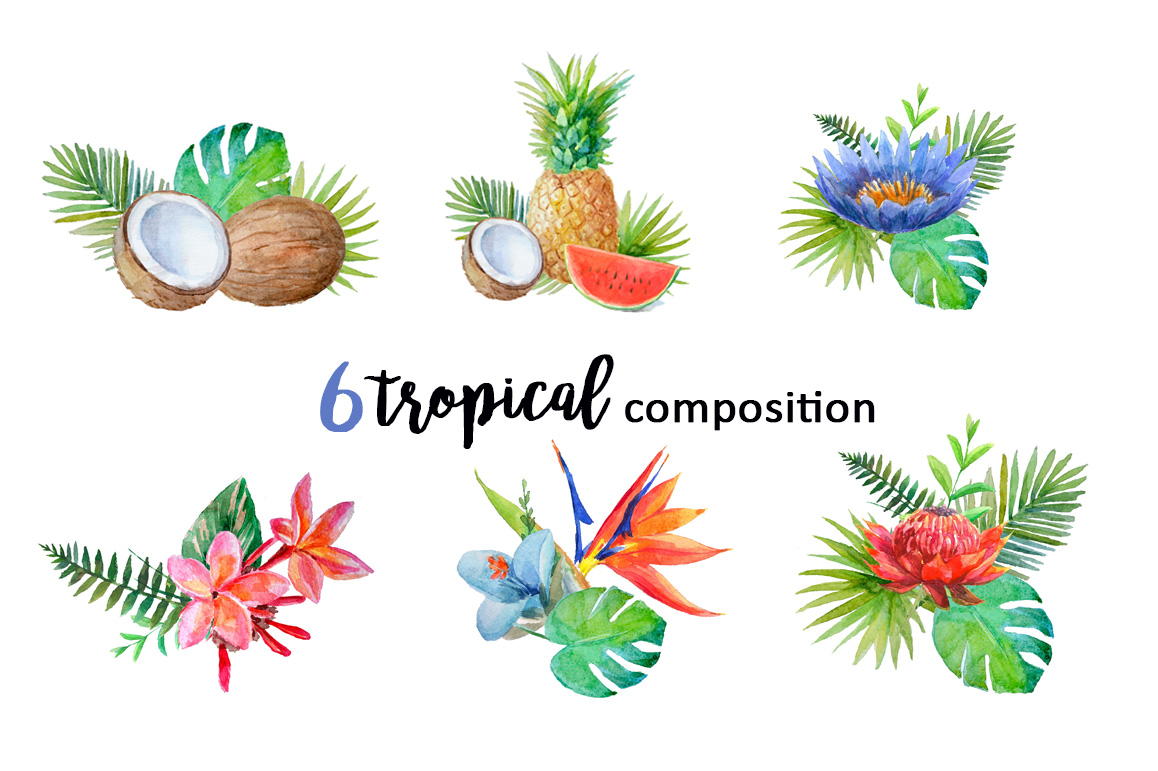 Watercolor tropical elements.