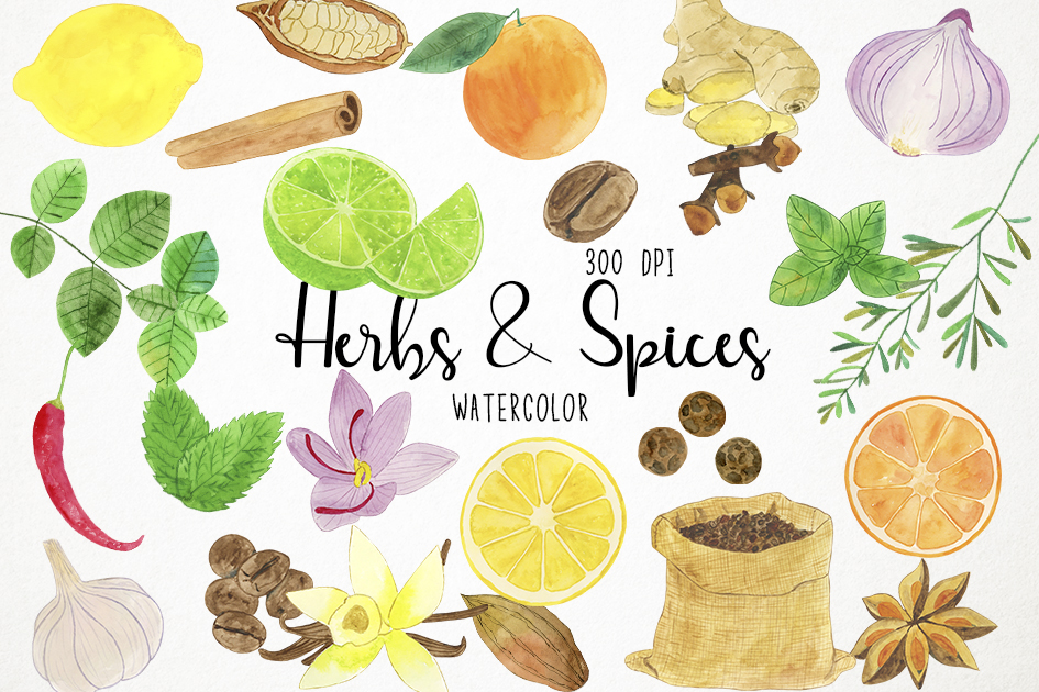 Watercolor Herbs Clipart, Spices Clipart, Herbs and Spices (260622 ...