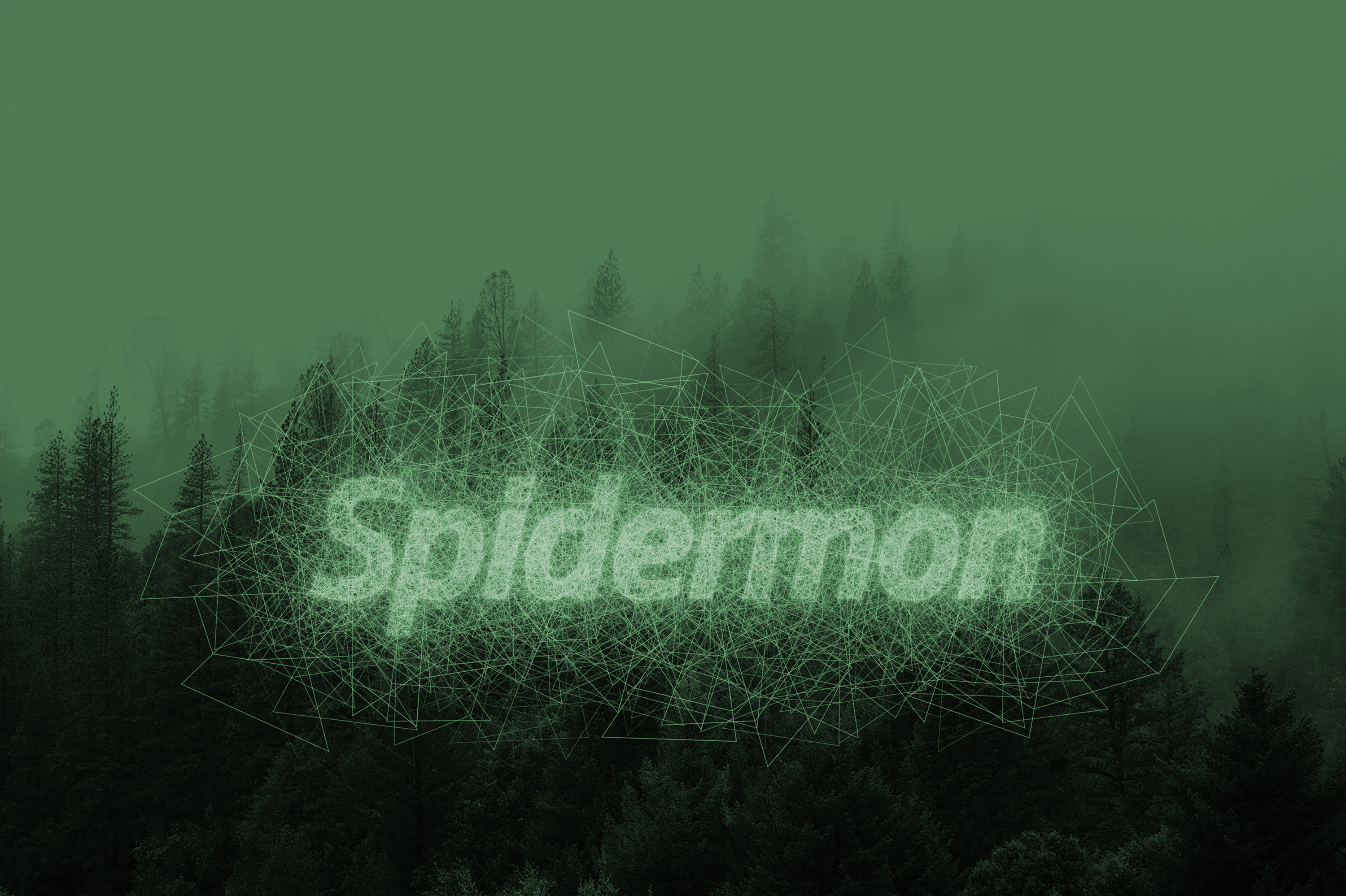 Spider Webs Text Effect (103178) | Add ons | Design Bundles