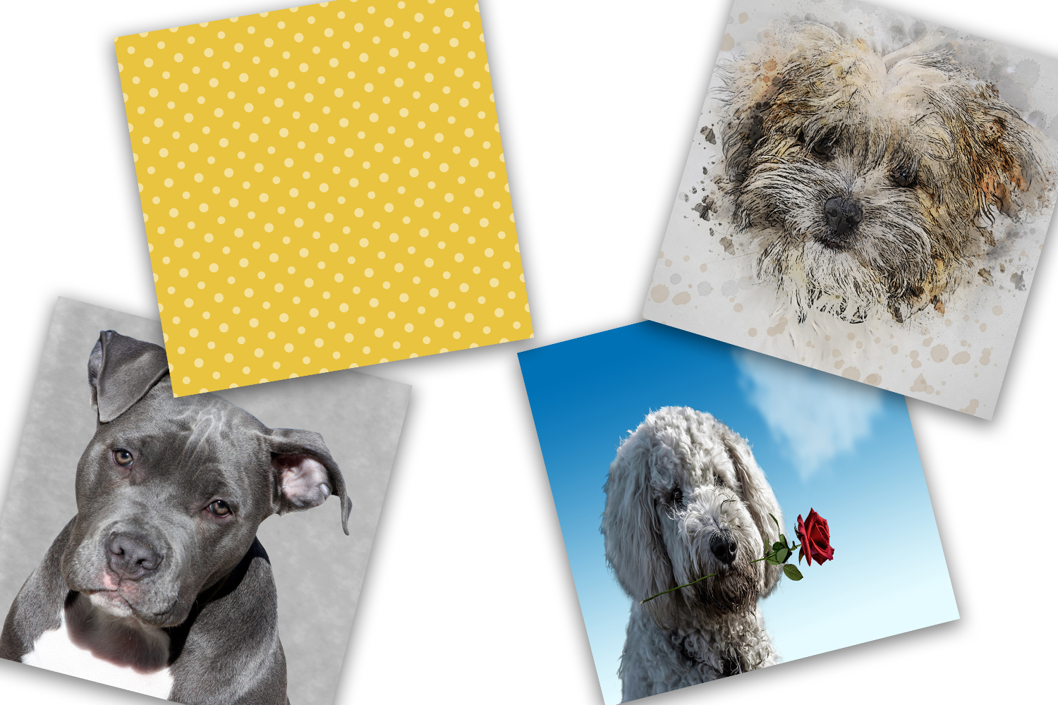 Puppy Dog Print, Puppy Party, Dog Paper,Dog Scrapbook, OFF50