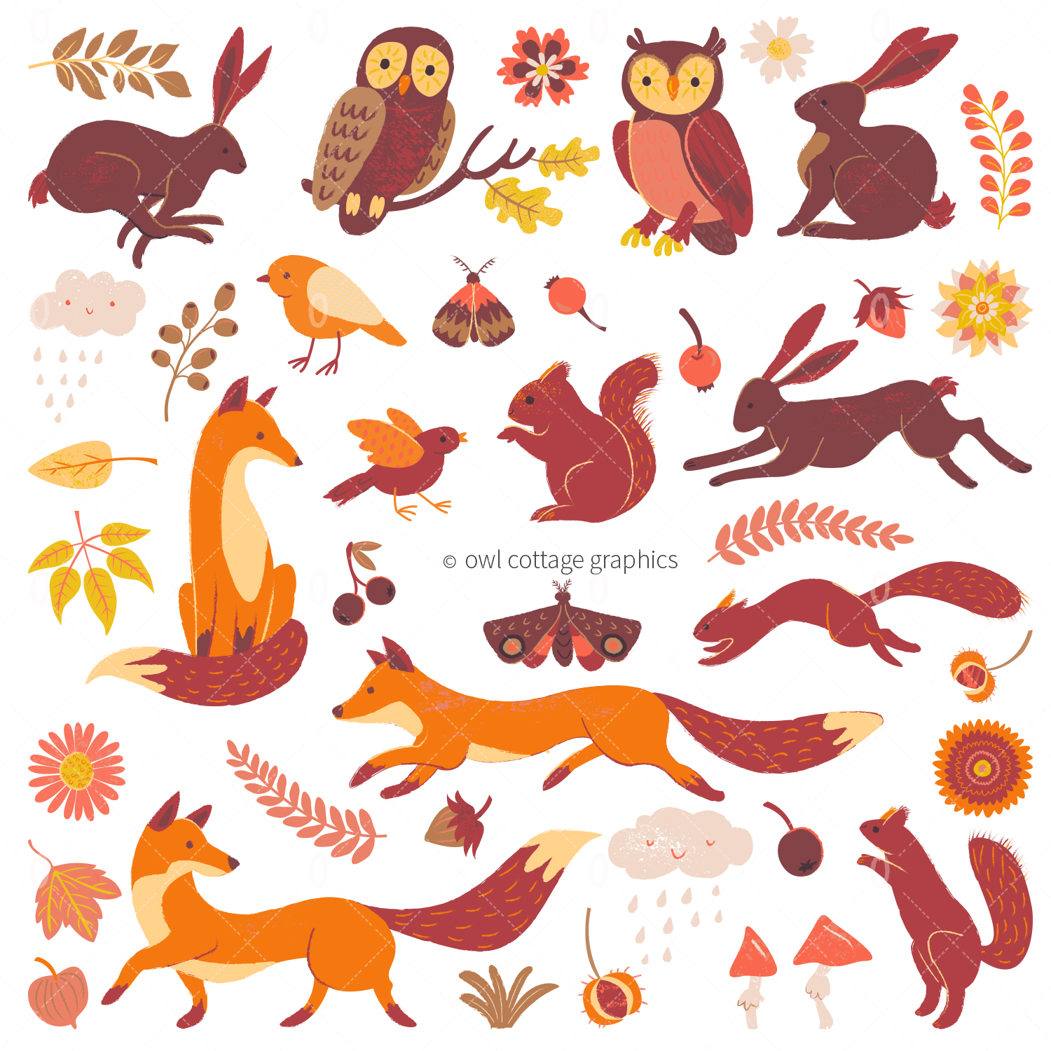 Forest Clipart Set- Vector and Raster Versions (148210) | Illustrations ...