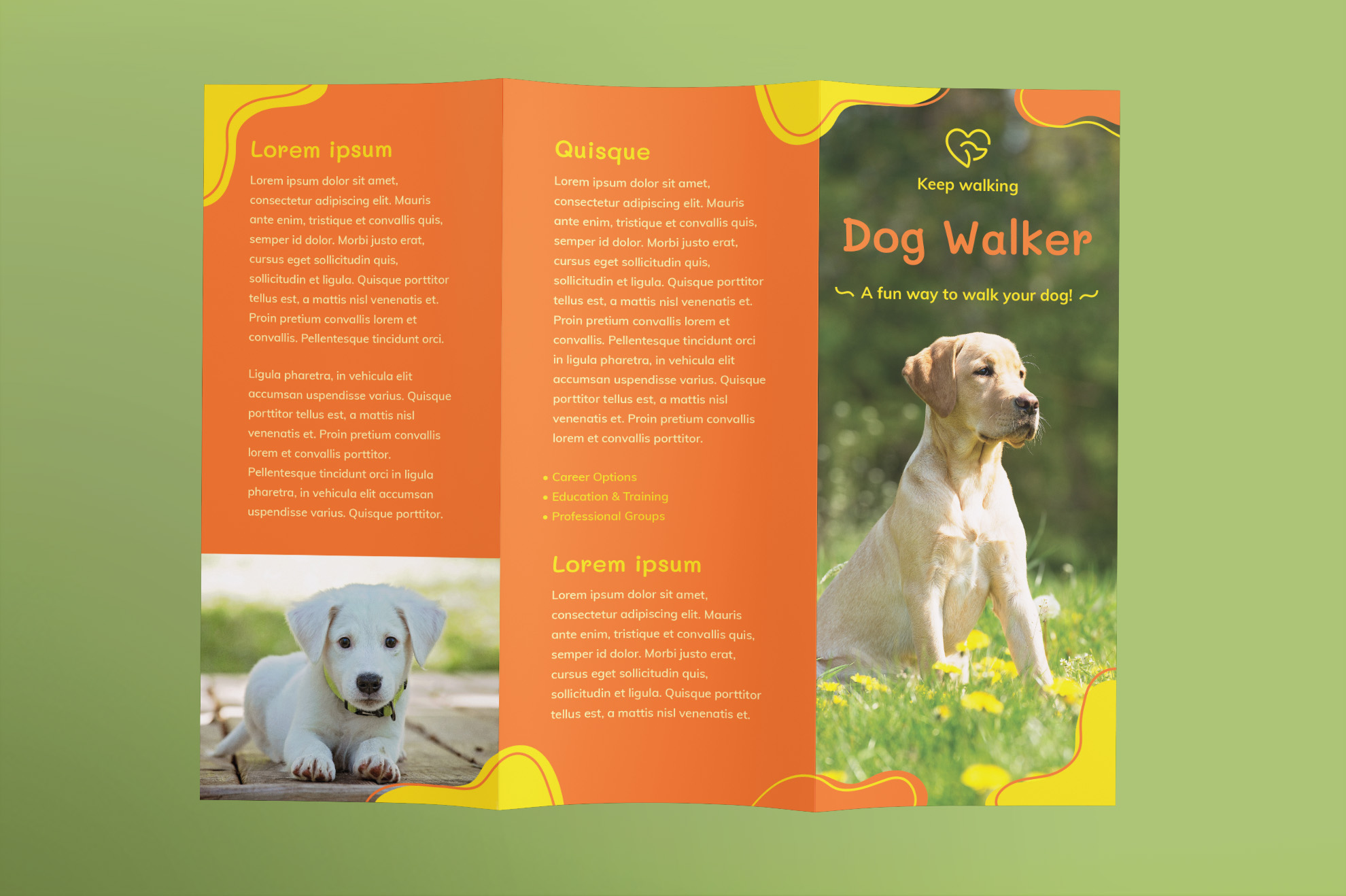 Dog Walker Brochure Trifold
