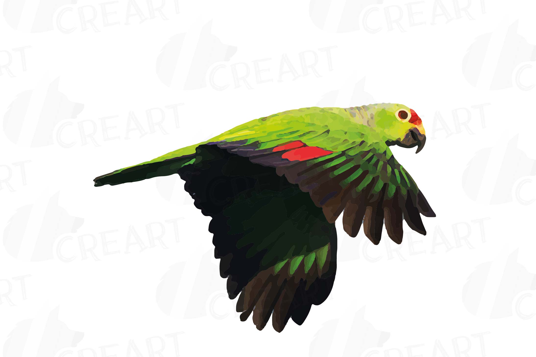 Watercolor Parrots clip art collection, green parrots vector (110039 ...