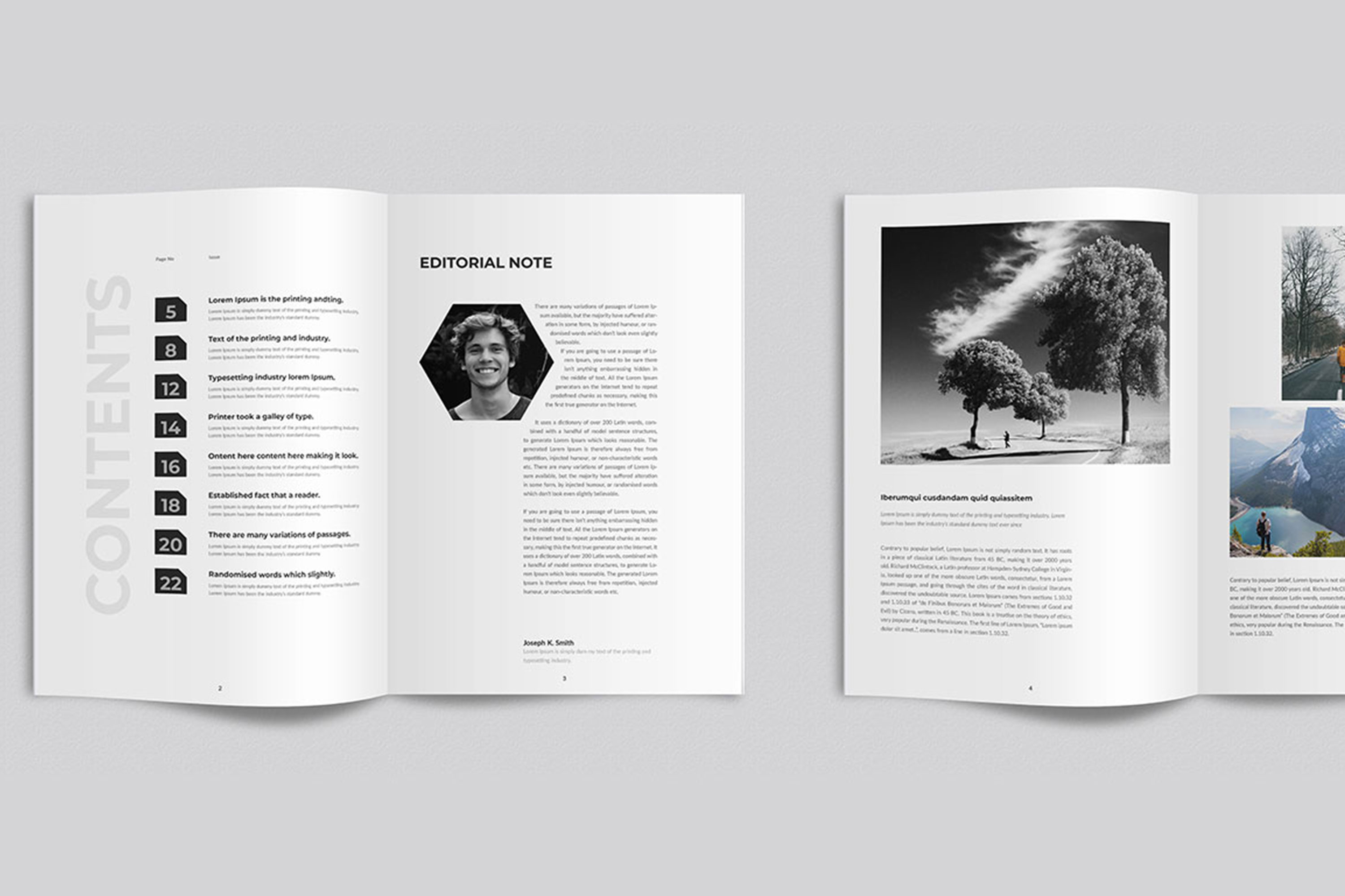 InDesign Clean Minimalist Magazine Layout