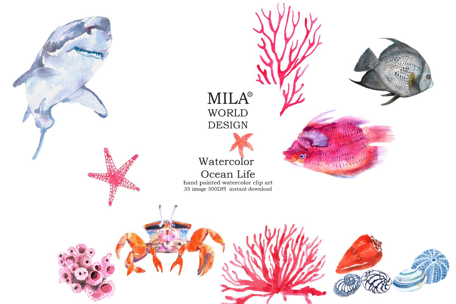 Watercolor Ocean Life clipart