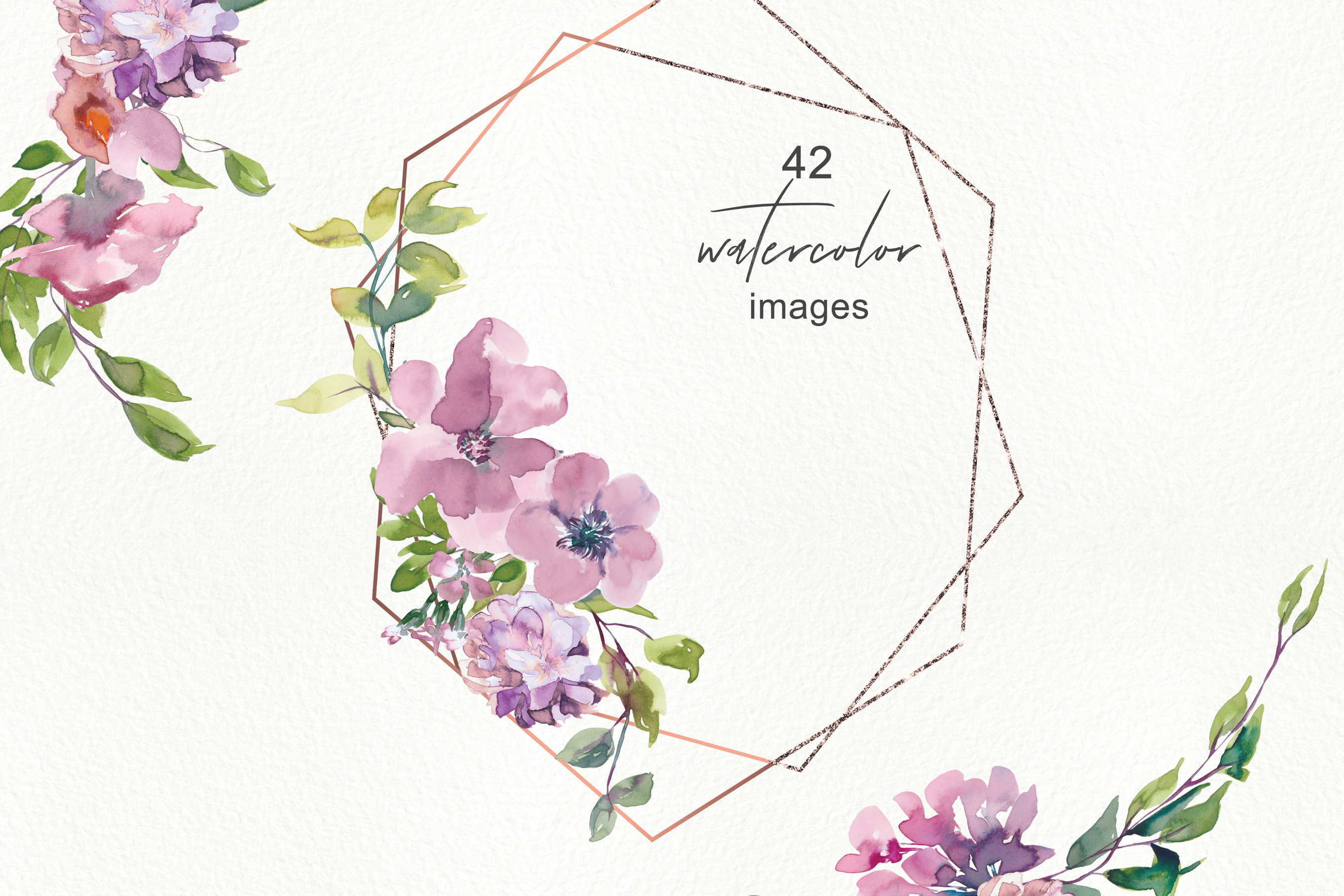 Watercolor Mauve Rose Clipart - Floral Frame Collection (167480 ...