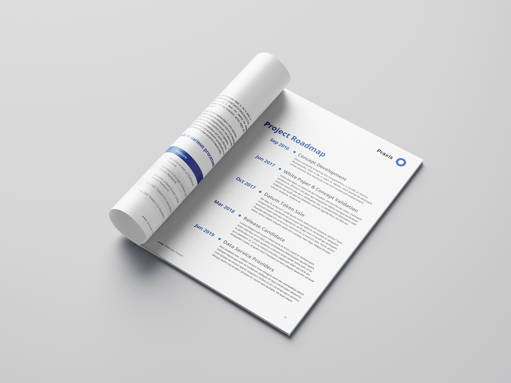 White Paper