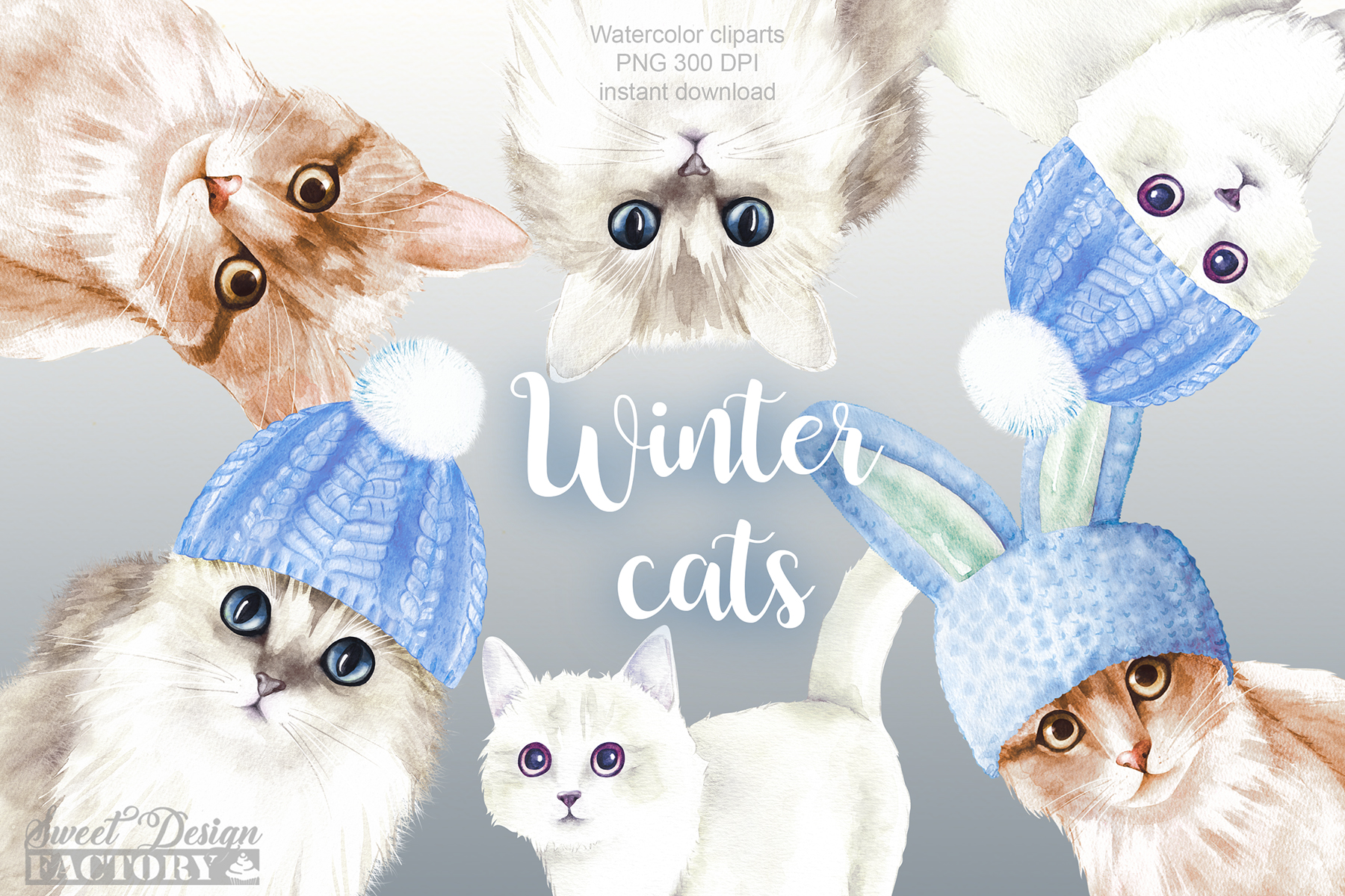 Winter cats clipart (169144) | Illustrations | Design Bundles