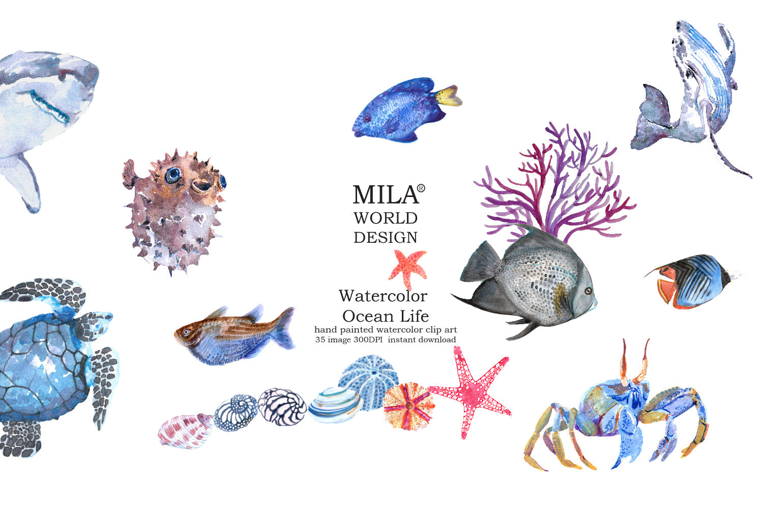 Watercolor Ocean Life clipart
