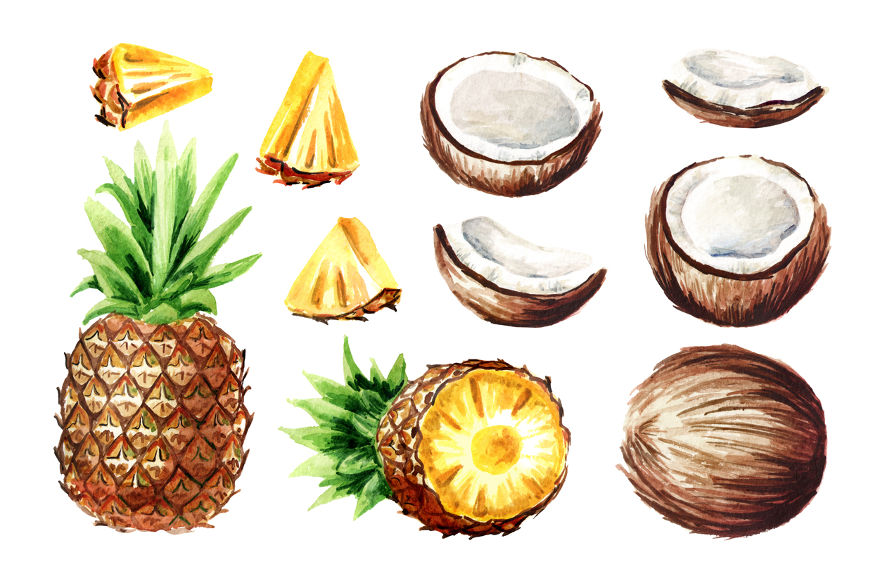 Pina colada. Watercolor collection