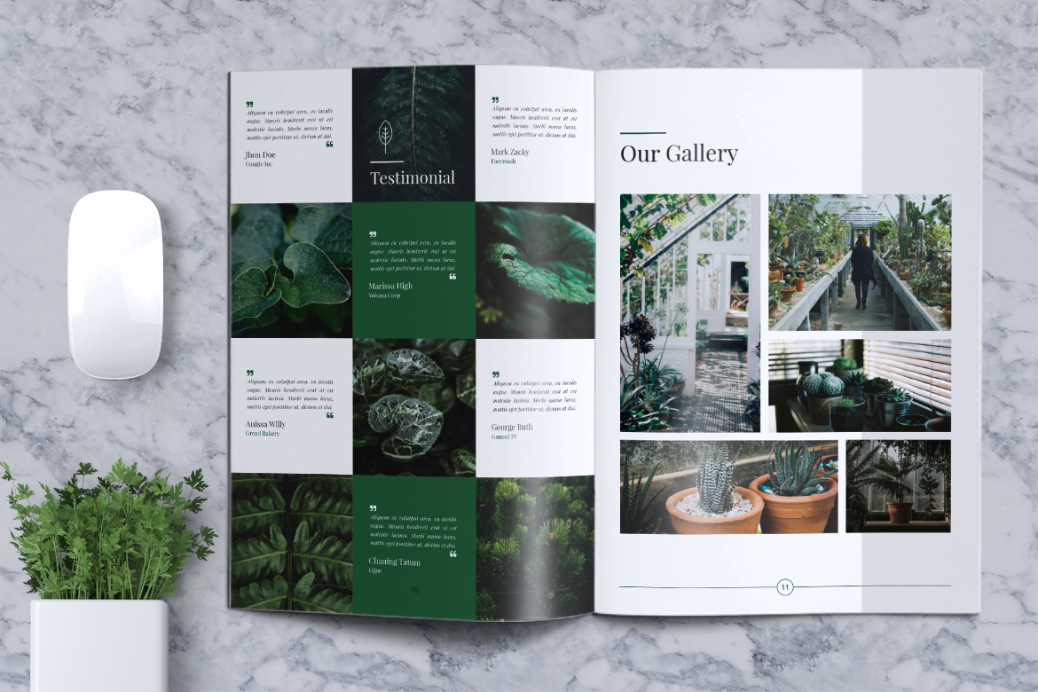 Decorative Plants Brochure