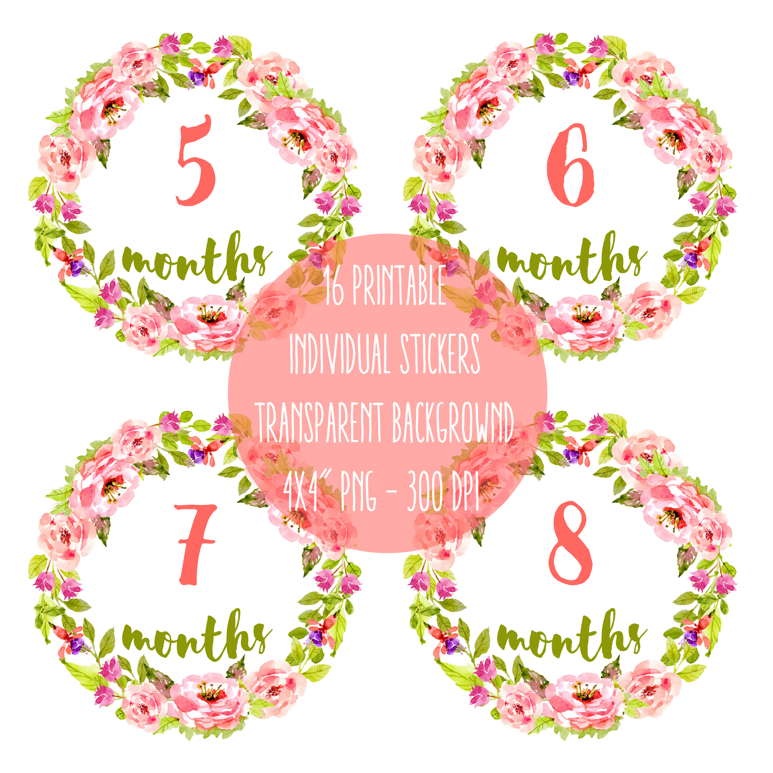 Baby stickers pack - Monthly Labels, Birth Milestones
