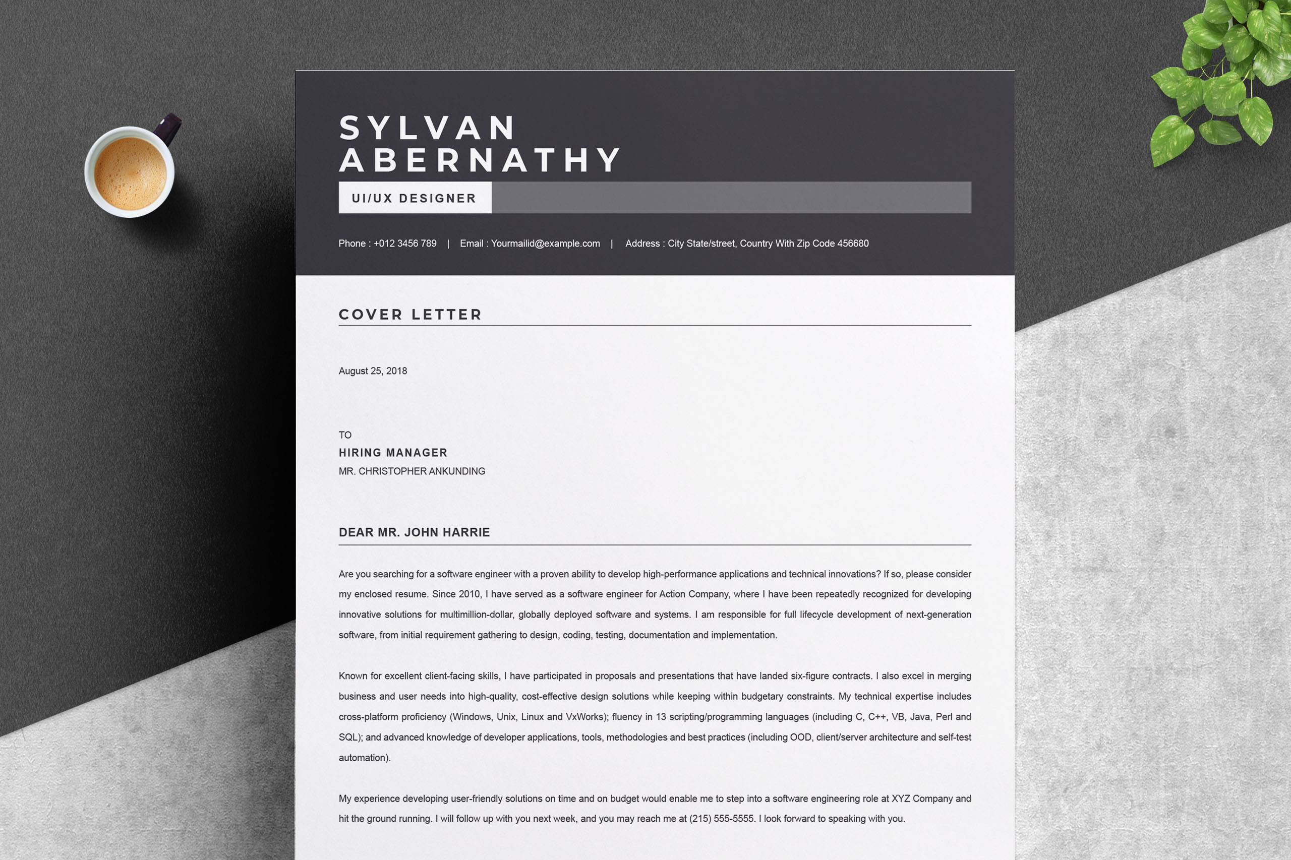One Page Resume / CV Template