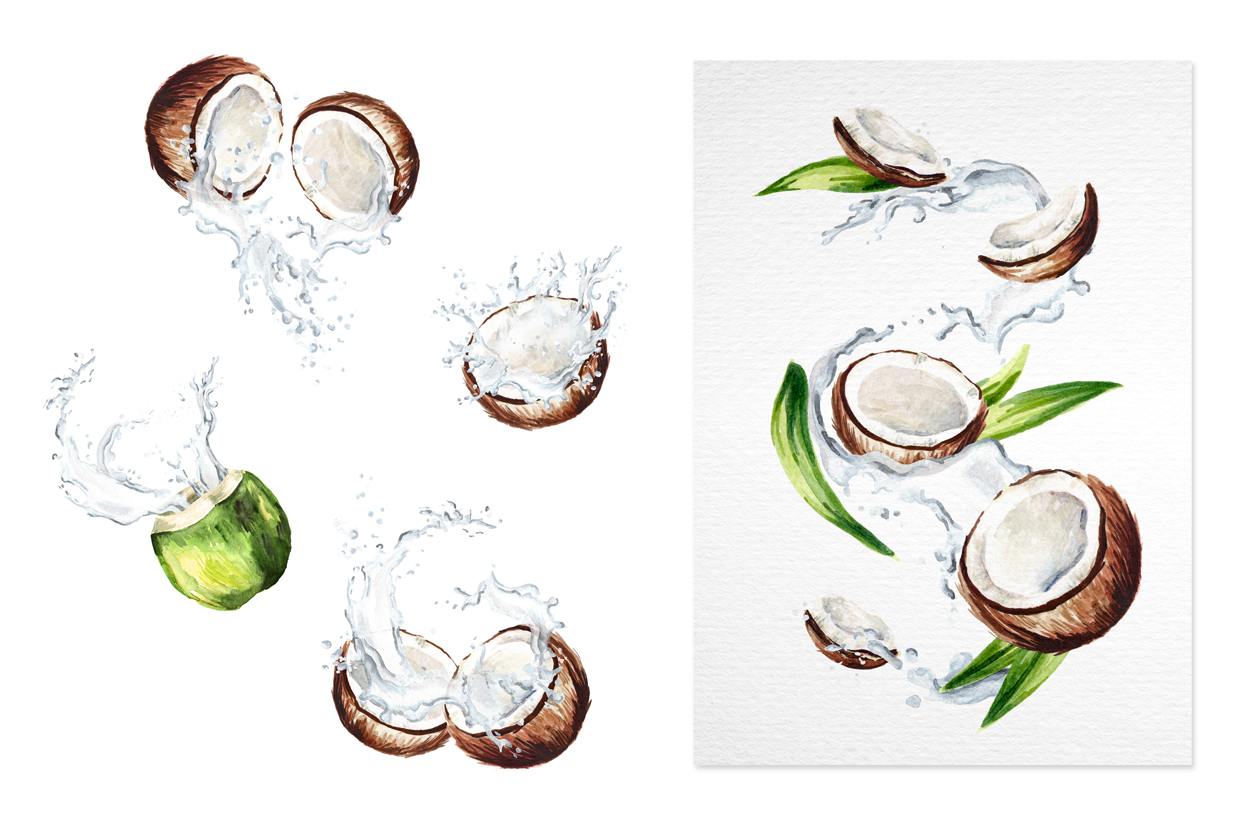 Coconut. Watercolor collection (132735) | Illustrations | Design Bundles