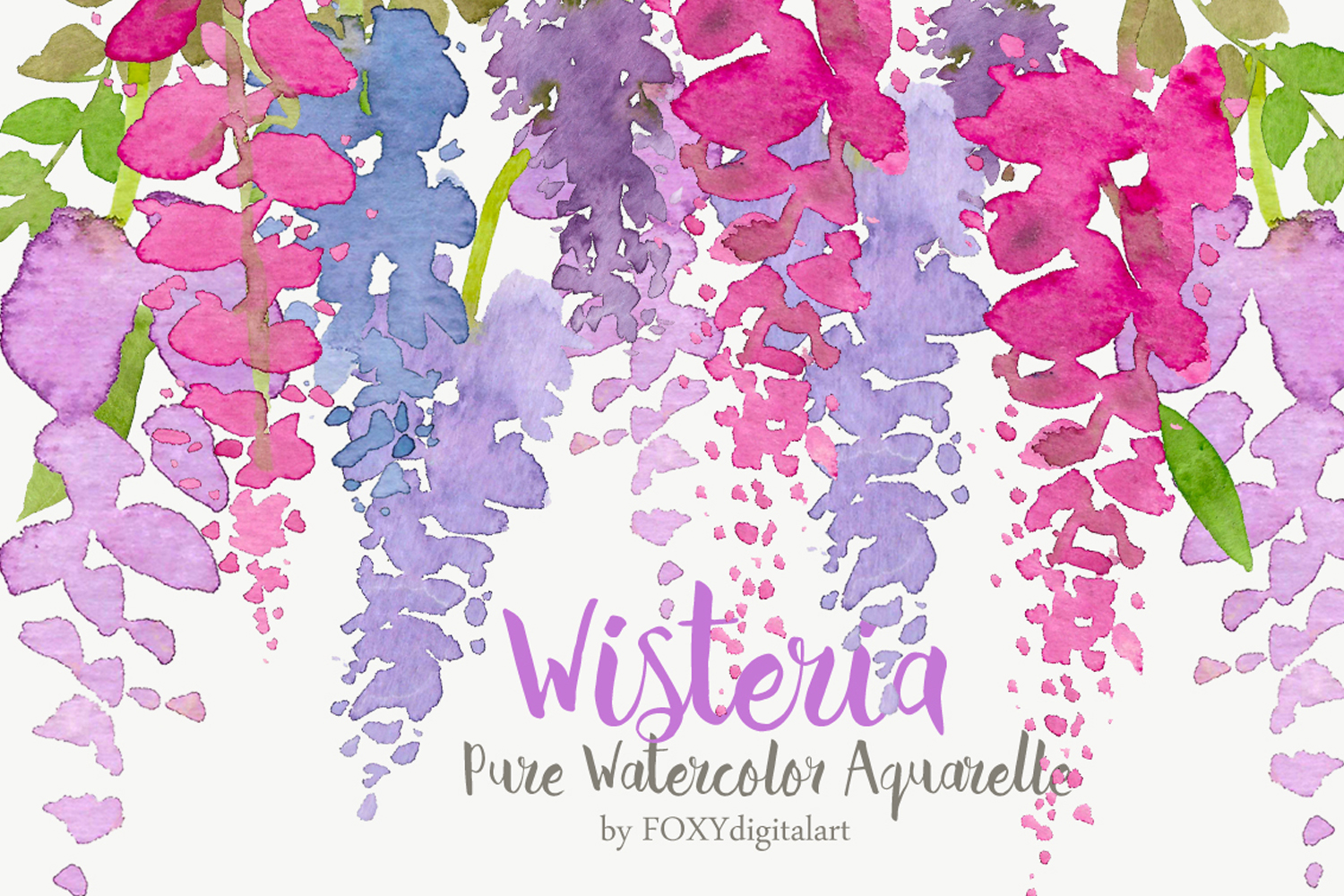 Watercolor Flowers Wisteria Aquarelle Floral Clipart Set (270208 ...