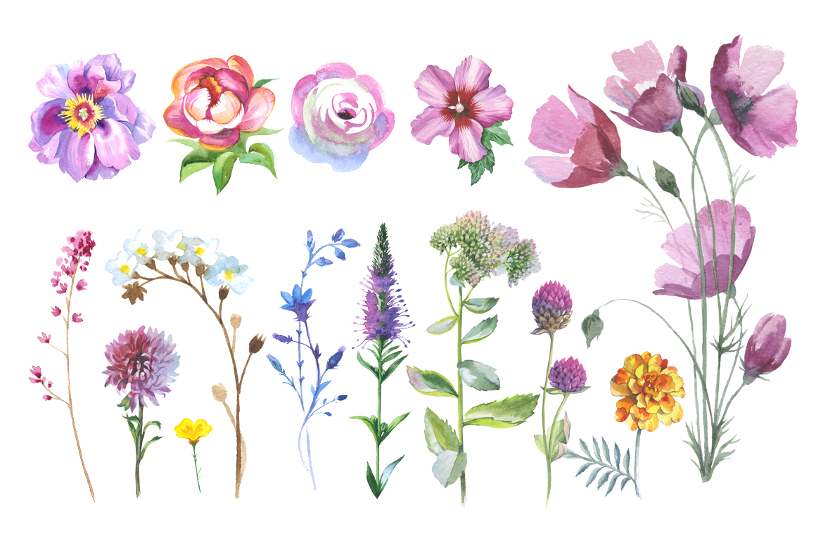 Wild Flowers watercolor PNG clipart