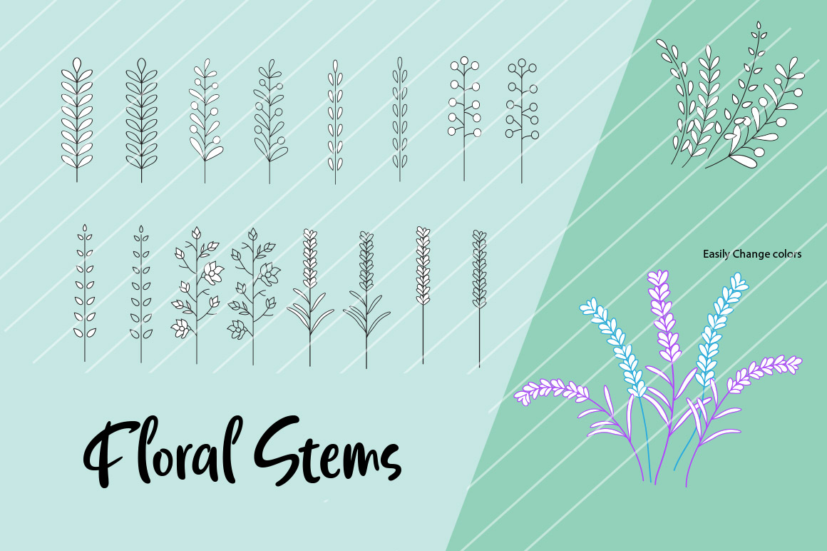 Floral Brushes|for Illustrator