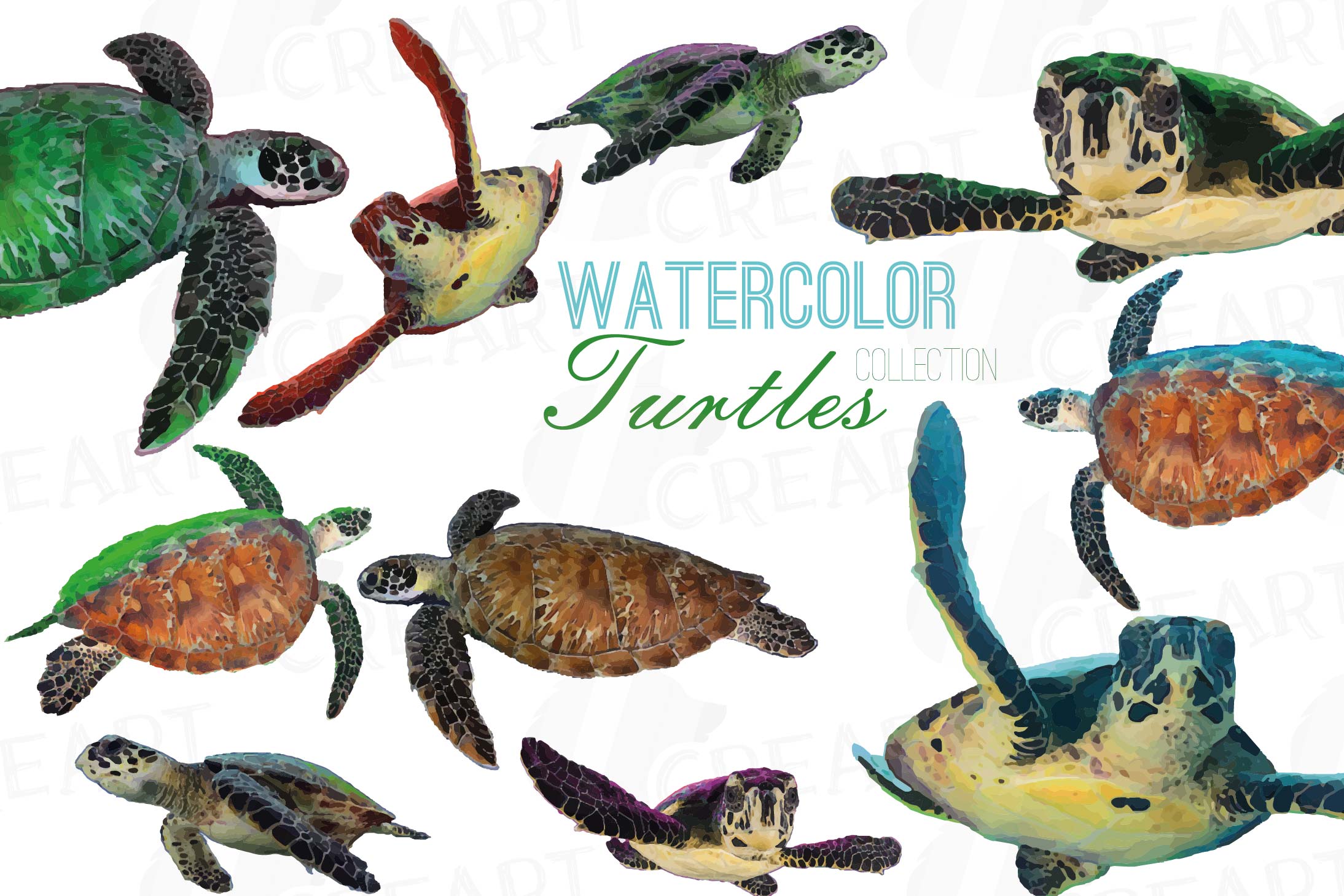 Watercolor sea turtles clip art pack, colorful turtles