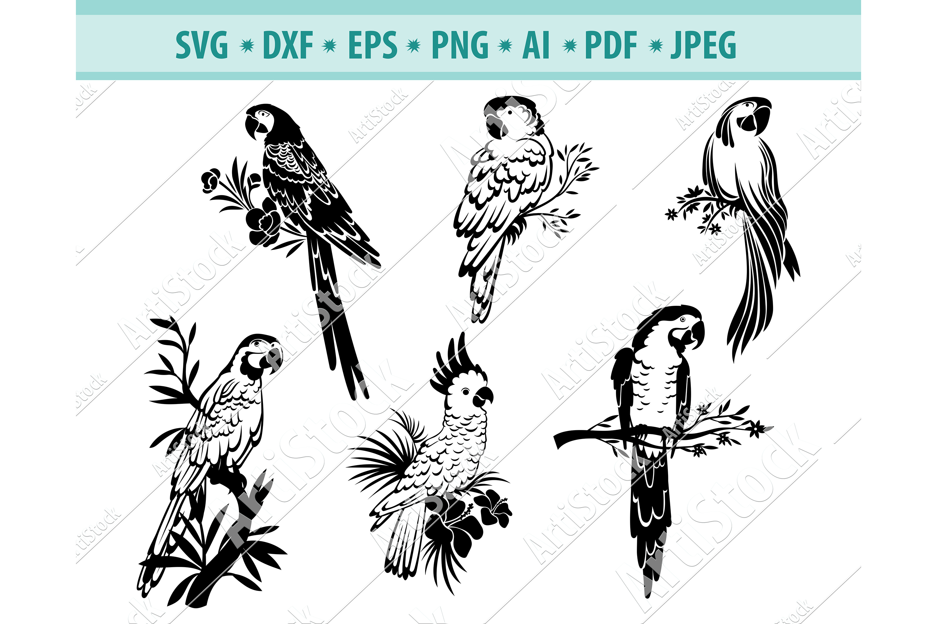 Parrot Svg, Parrot Clipart, Pet Svg, Wild bird Png, Dxf, Eps (522501 ...