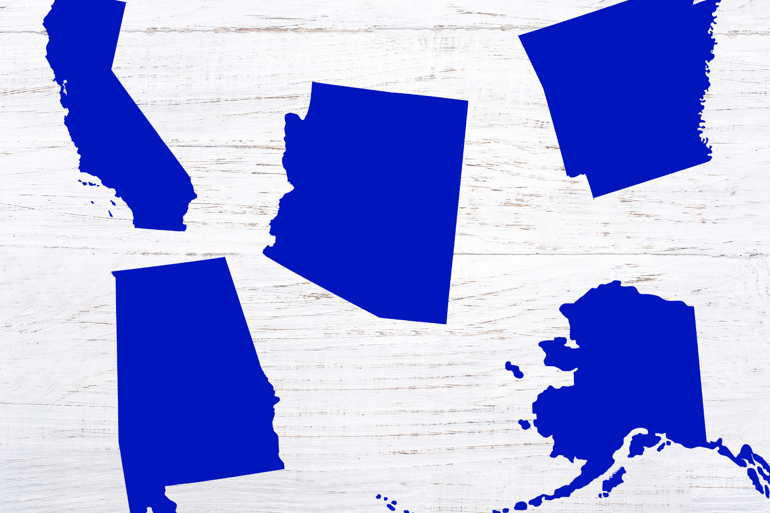 The Democrat United States Bundle - PNG Clip Art and SVG cut (369181 ...