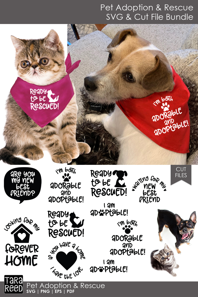 Pet Adoption and Rescue - SVG and Cut Files for Crafters (234306) | Cut ...