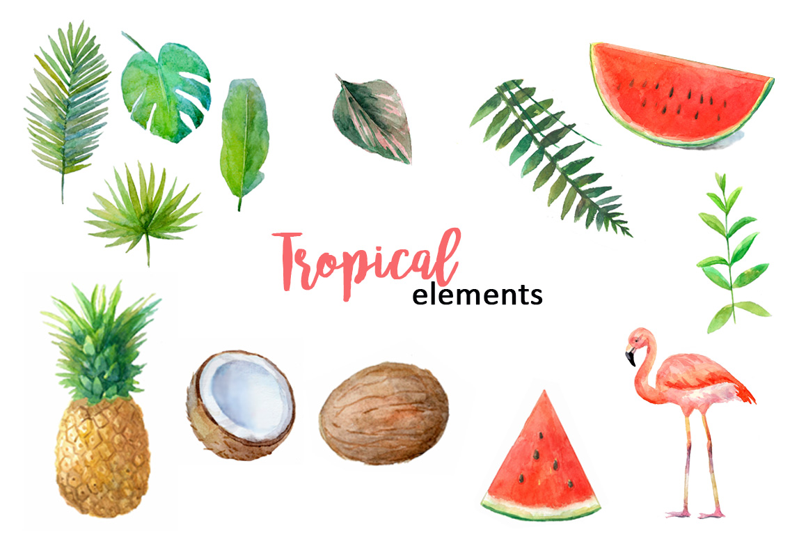 Watercolor tropical elements.
