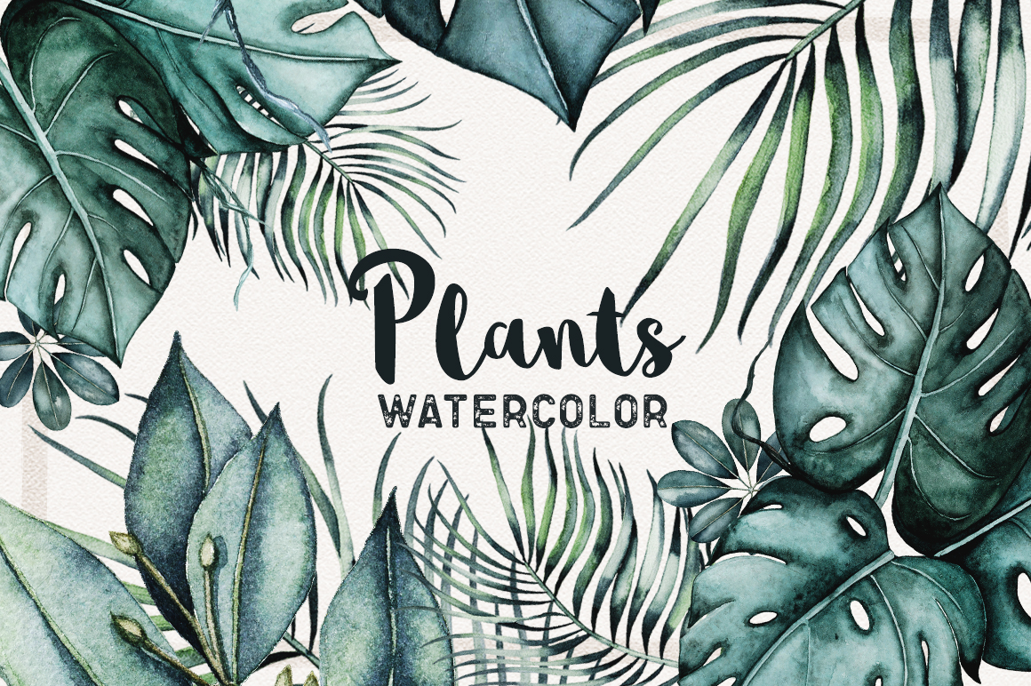 Watercolor Plants (16071) | Illustrations | Design Bundles