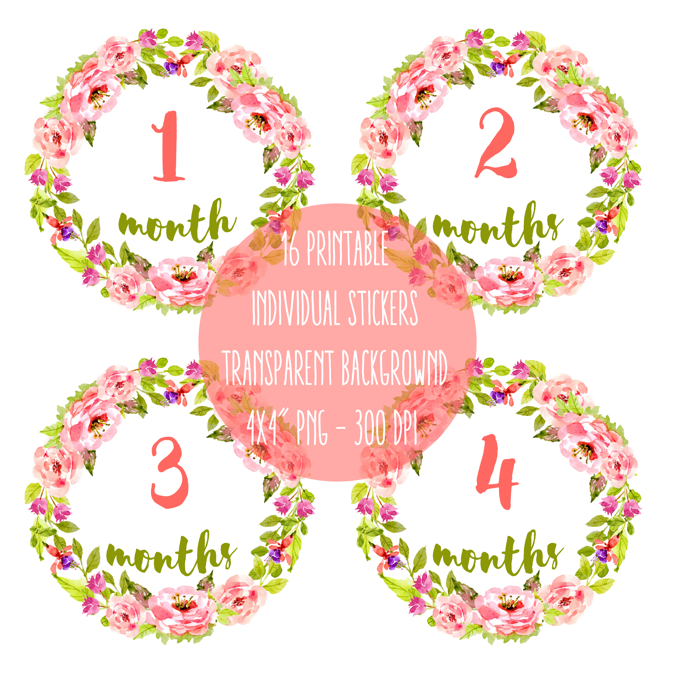 Baby stickers pack - Monthly Labels, Birth Milestones