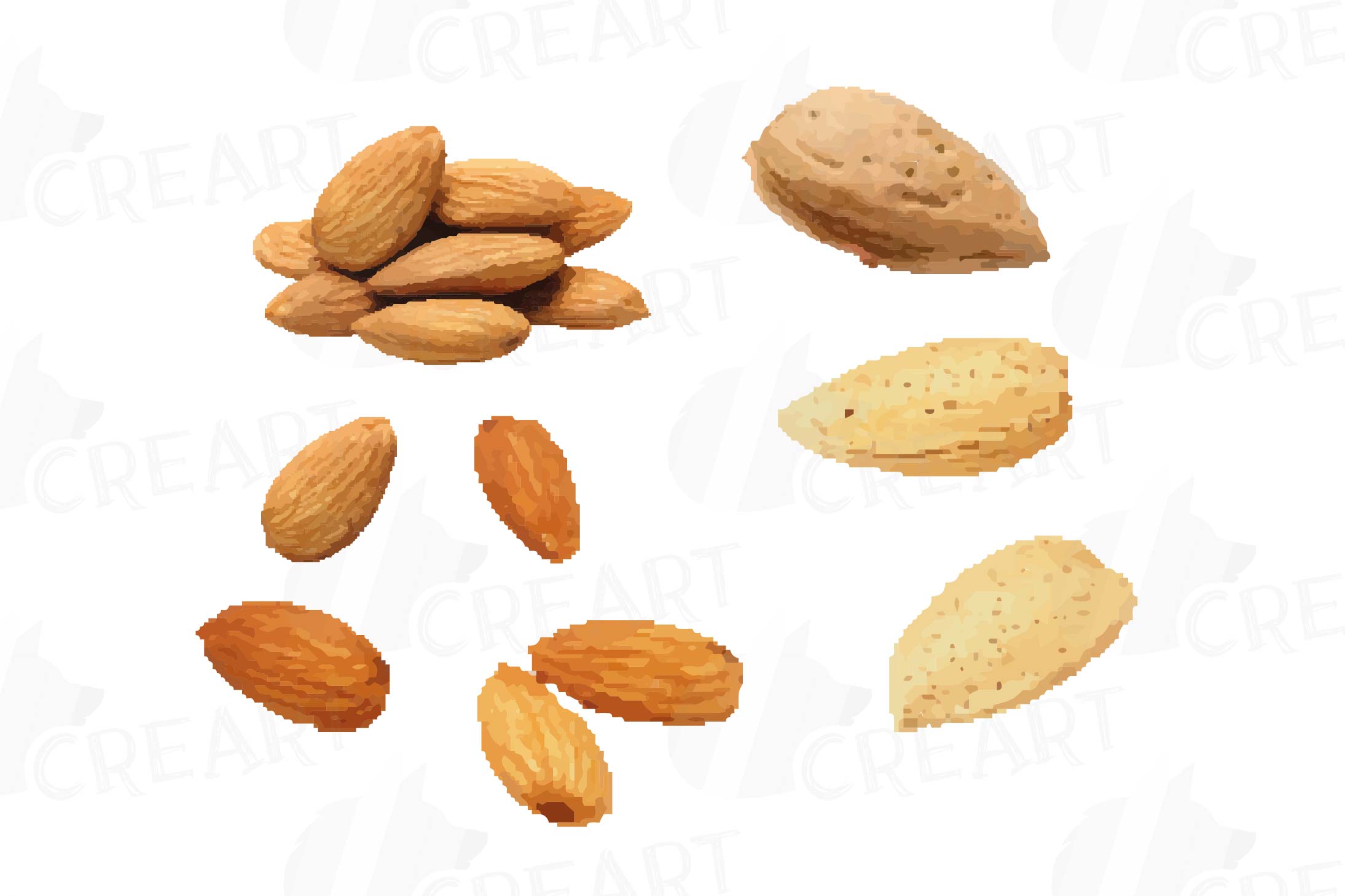 Nuts clip art pack, Watercolor nuts chart, food print (134672 ...