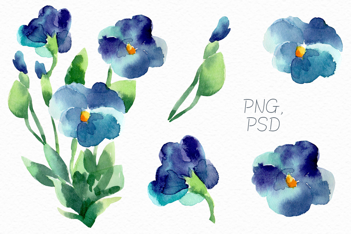 Watercolor violets (28372) | Illustrations | Design Bundles
