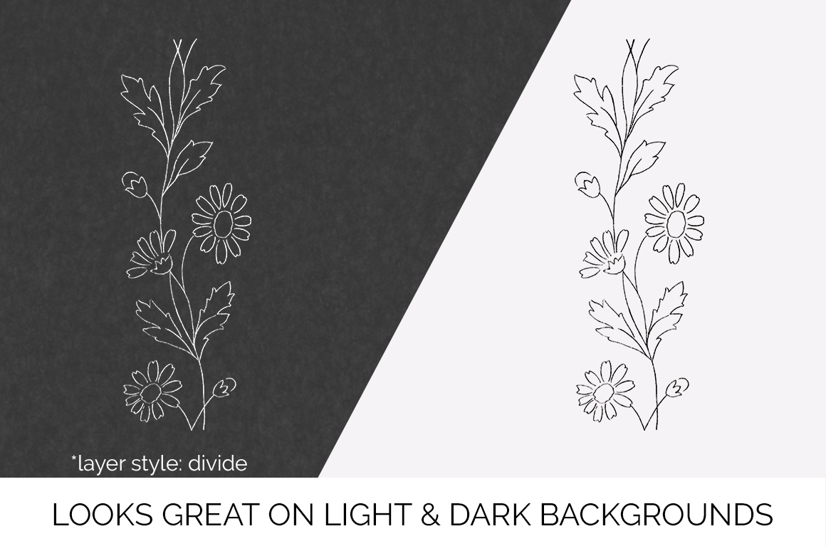 Daisy - Vintage Flower Engraving