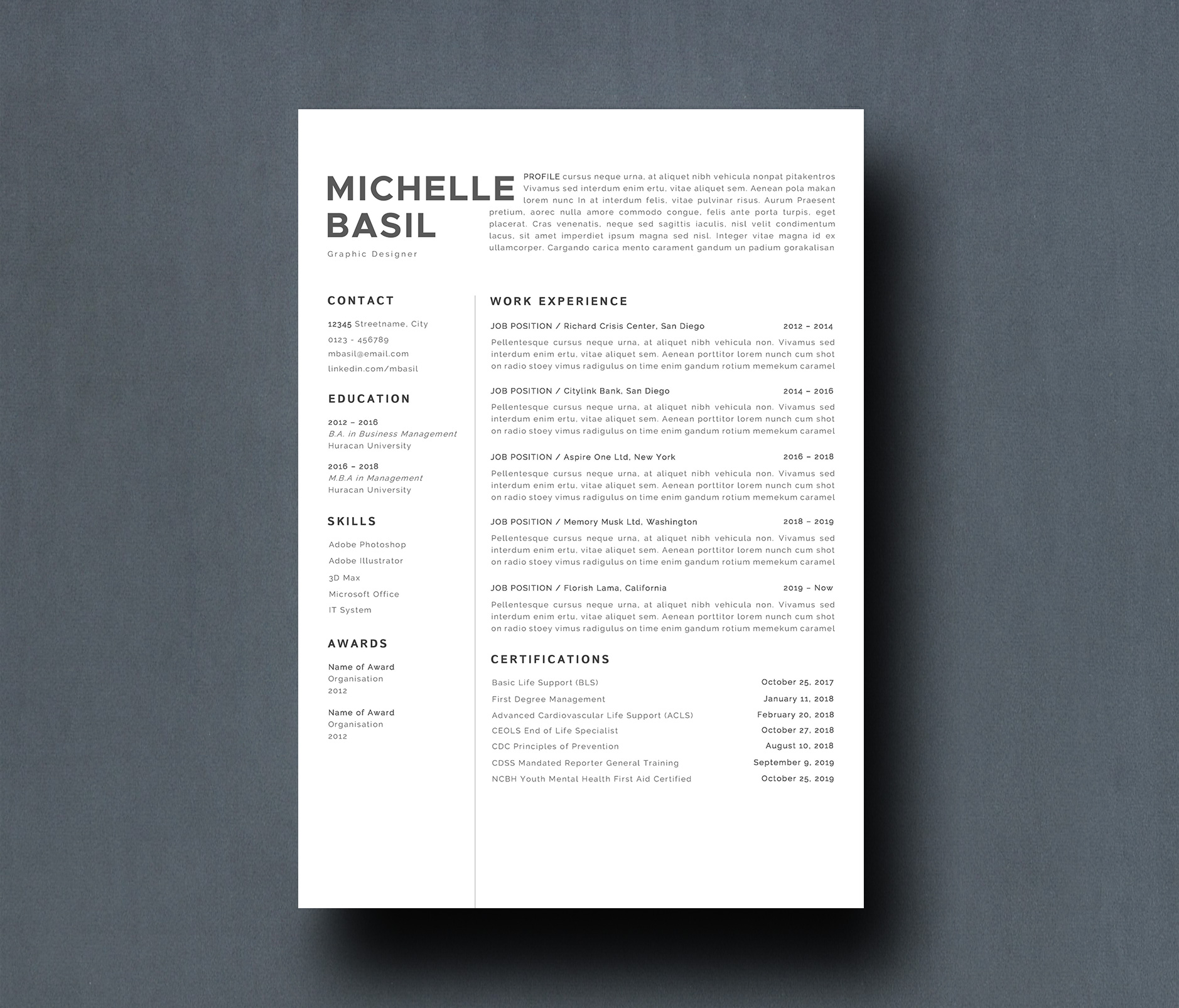 1 Page Resume Template Conventional Edition