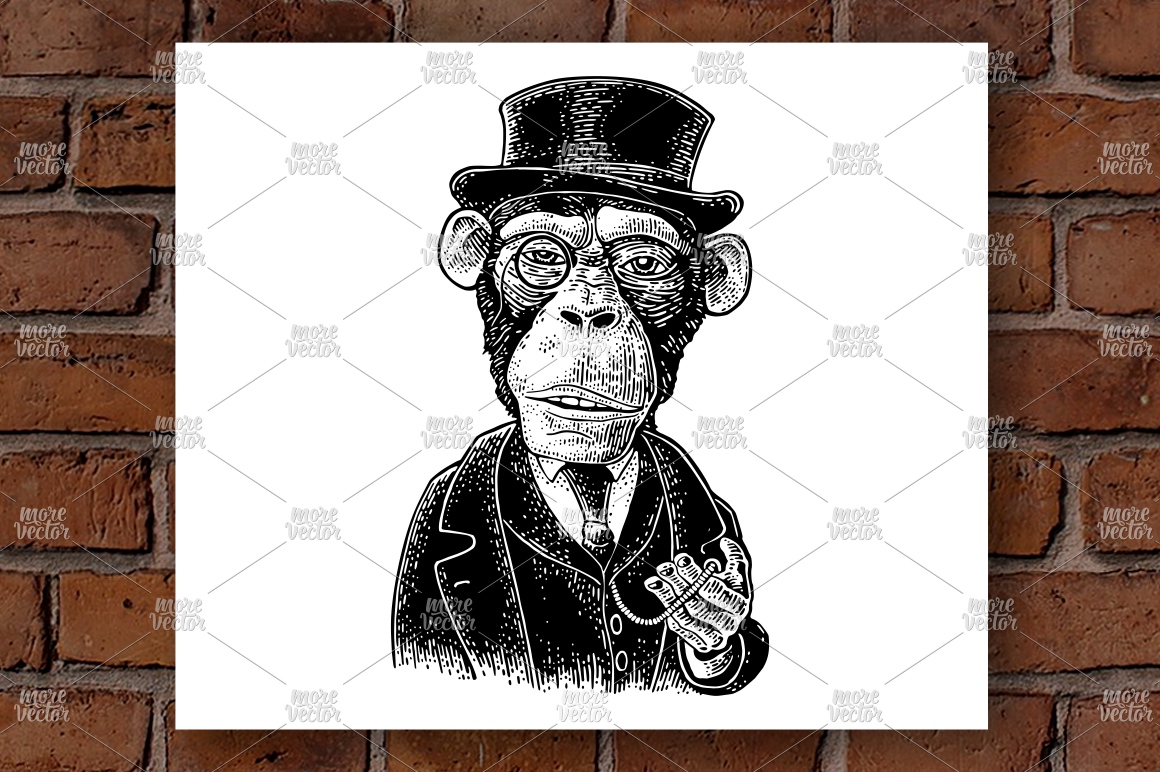 Monkey gentleman dressed in a hat, suit. Engraving