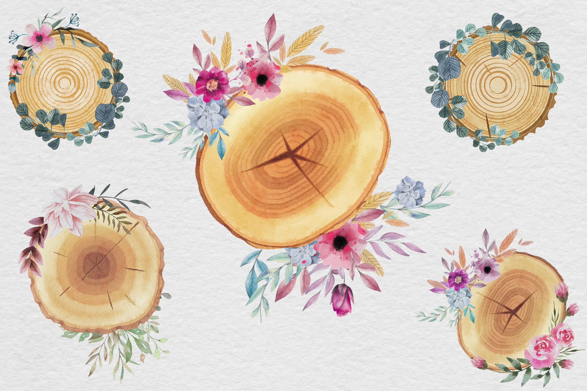 Wood Slices Watercolor Clipart (372309) | Card Making | Design Bundles