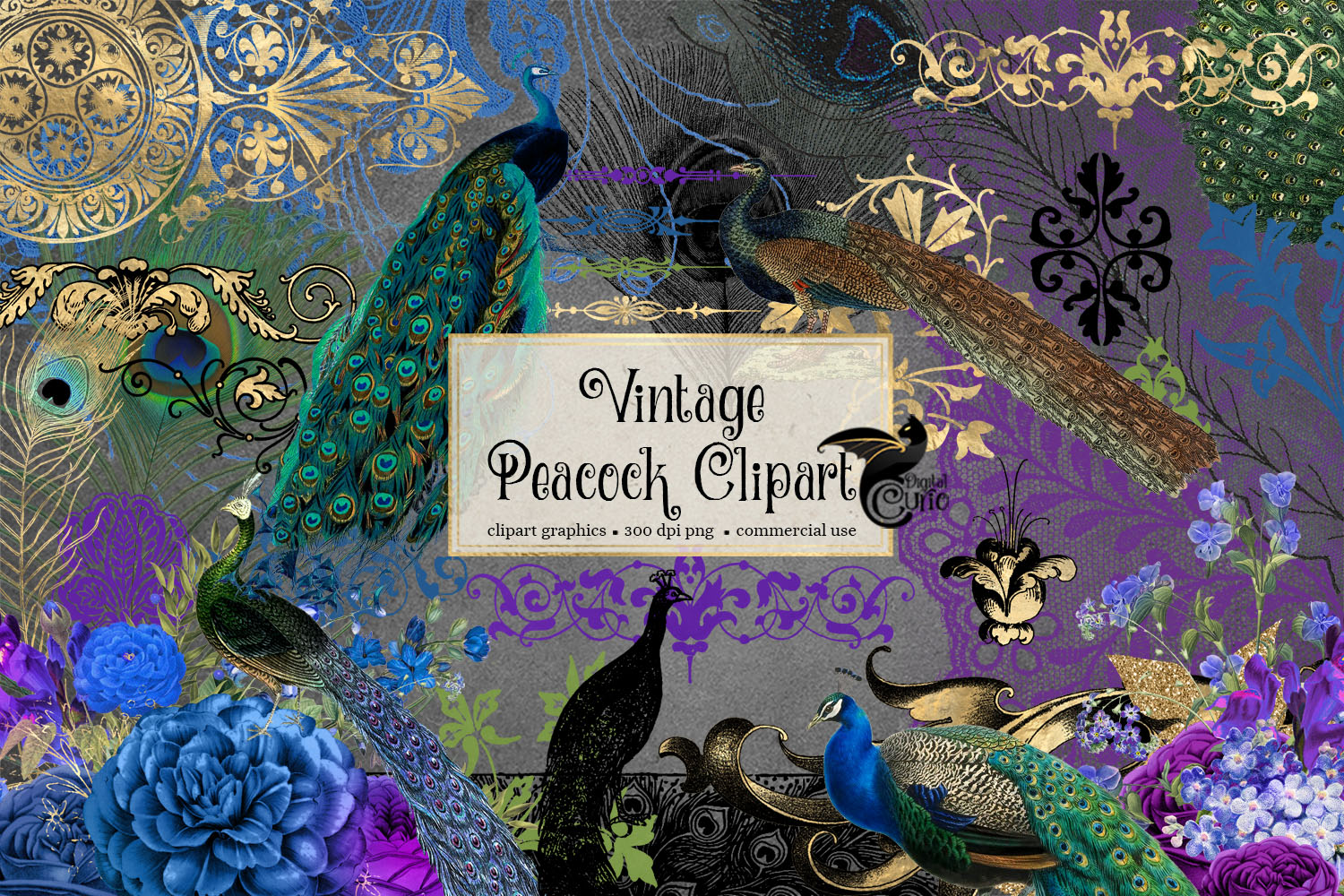 Vintage Peacock Clipart (189033) | Patterns | Design Bundles