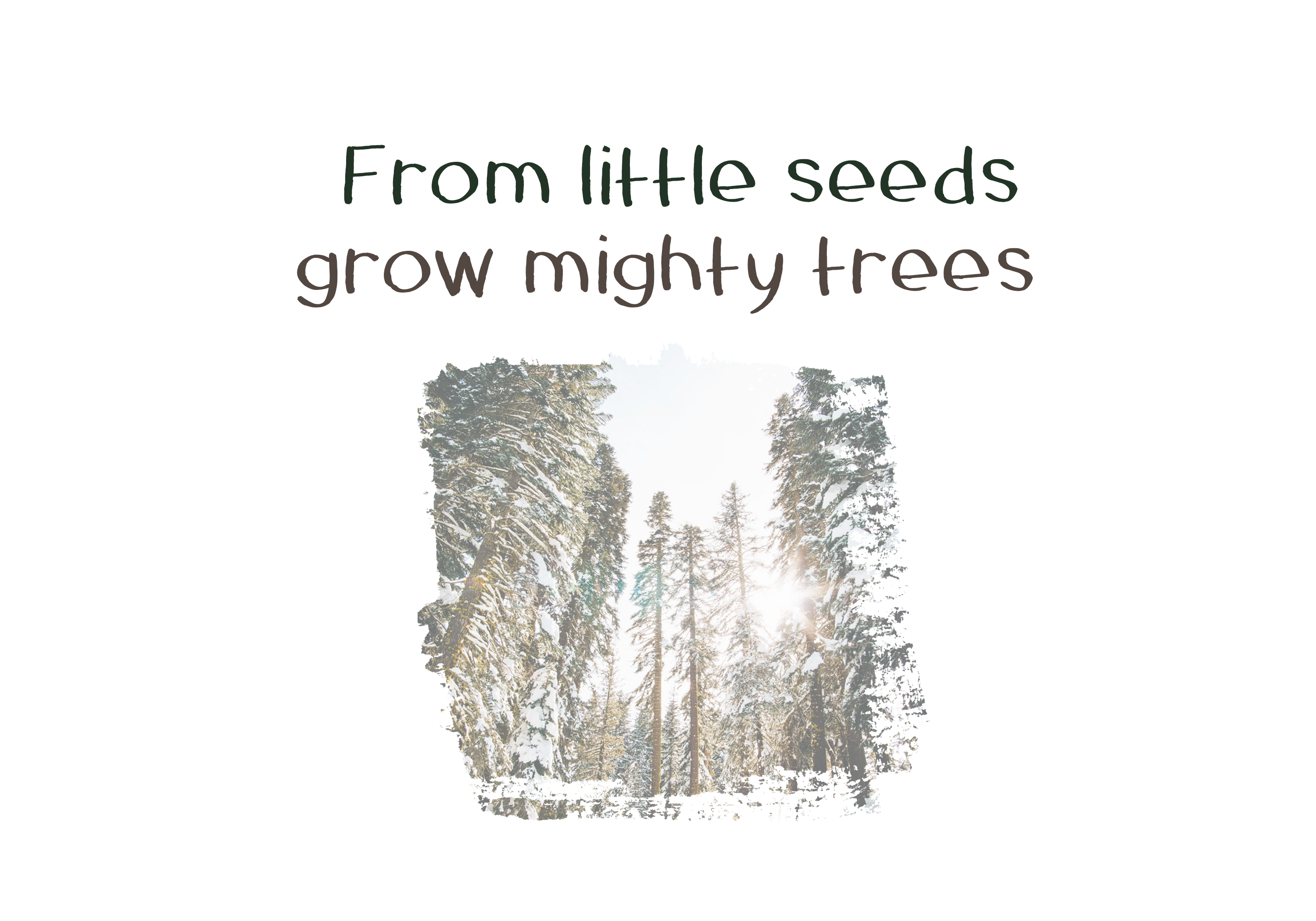 Pinecone - A Rough Handwritten Font (131798) | Regular | Font Bundles