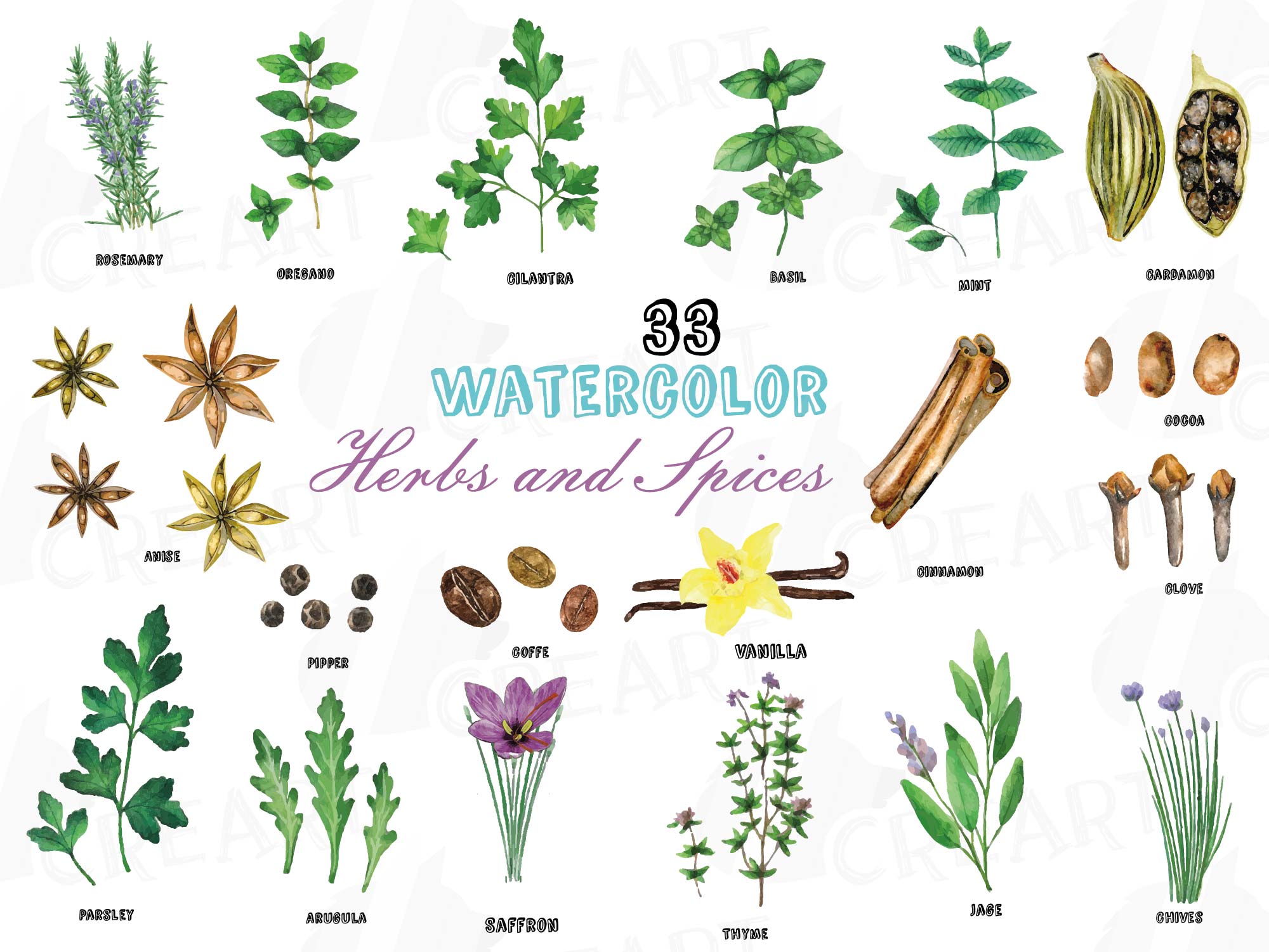 Herbs and Spices clip art pack, Watercolor herbs and spices chart ...