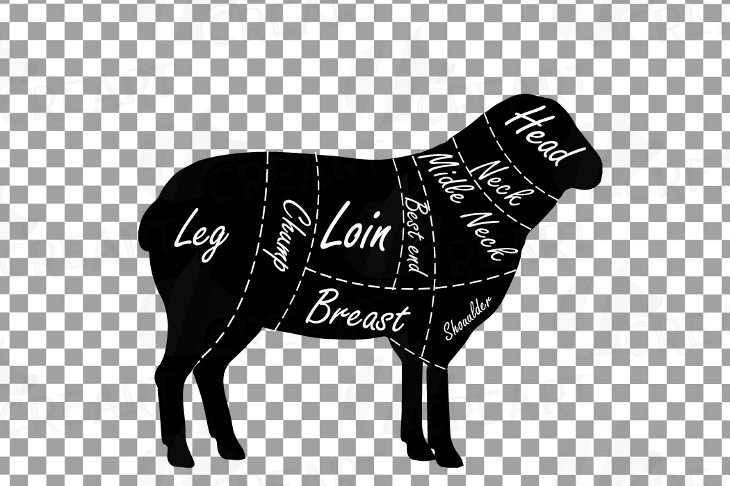 Butcher lamb diagram clip art, digital lamb chart, lamb cuts