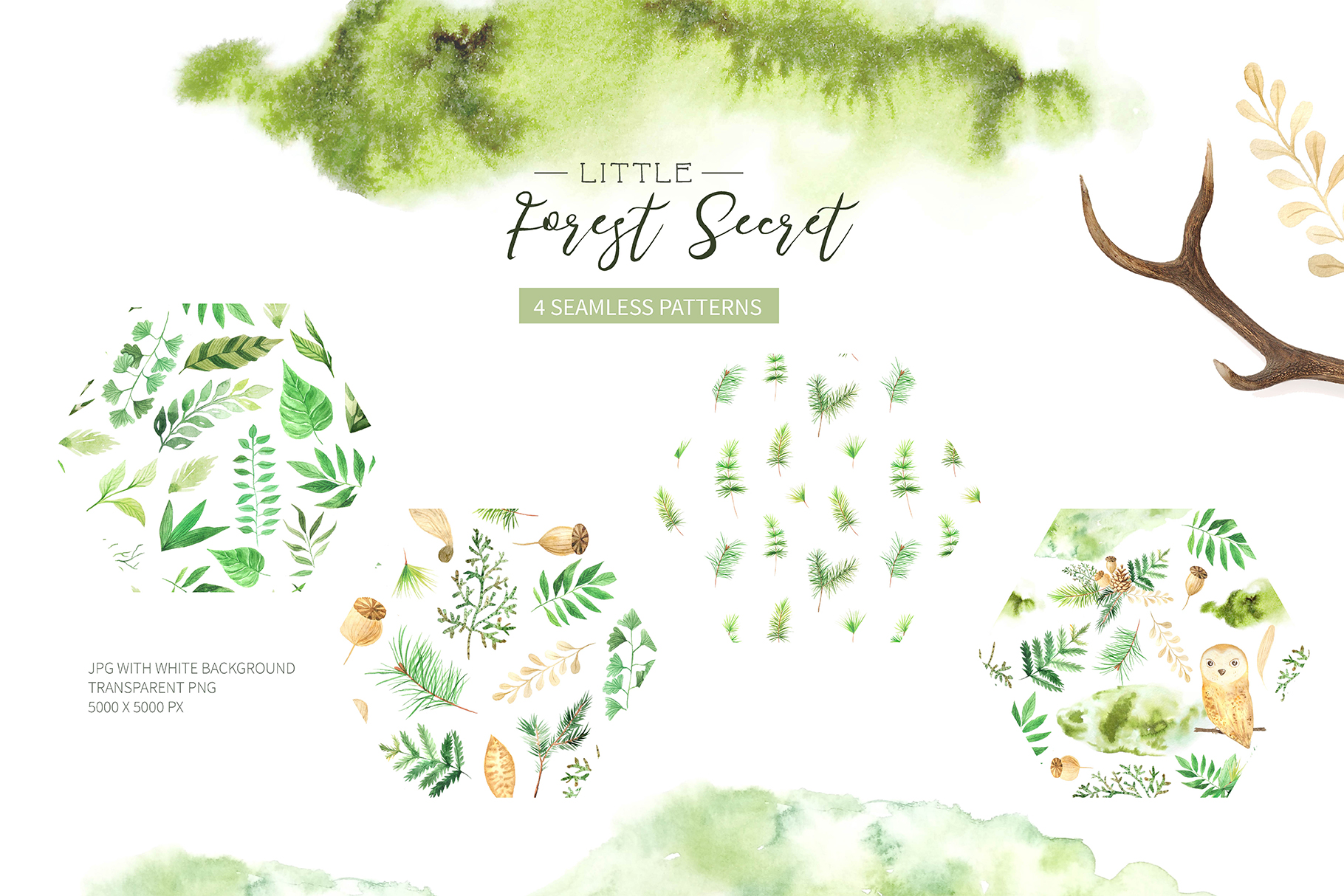 Watercolor Forest Graphic Set (79028) | Illustrations | Design Bundles