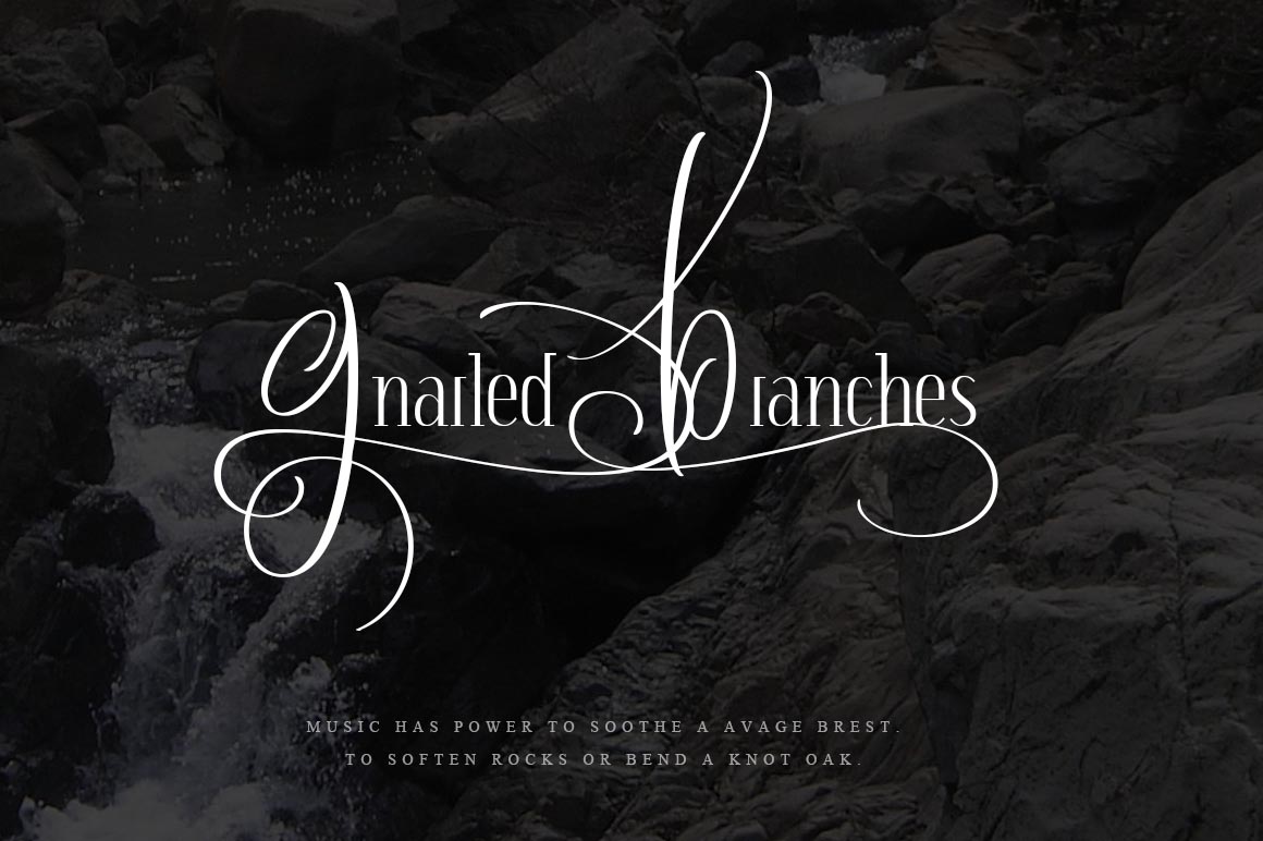 Dynamic And Static Font