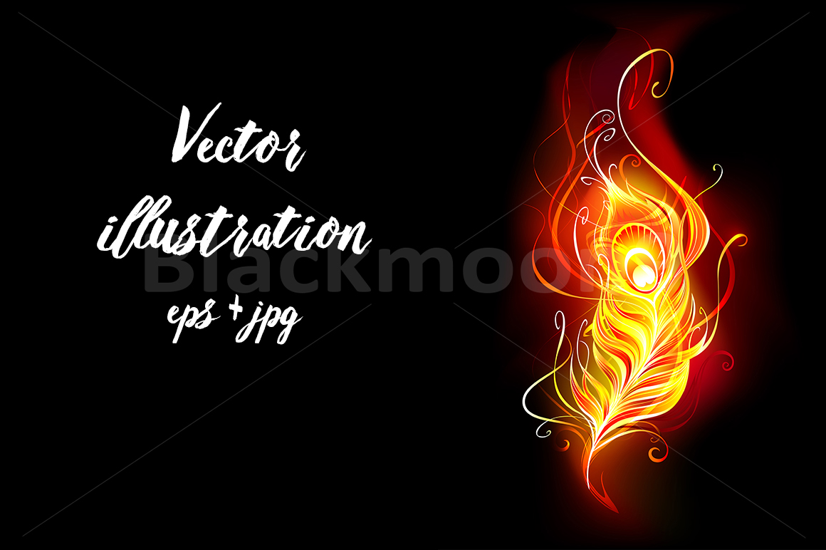 Fire Peacock Feather