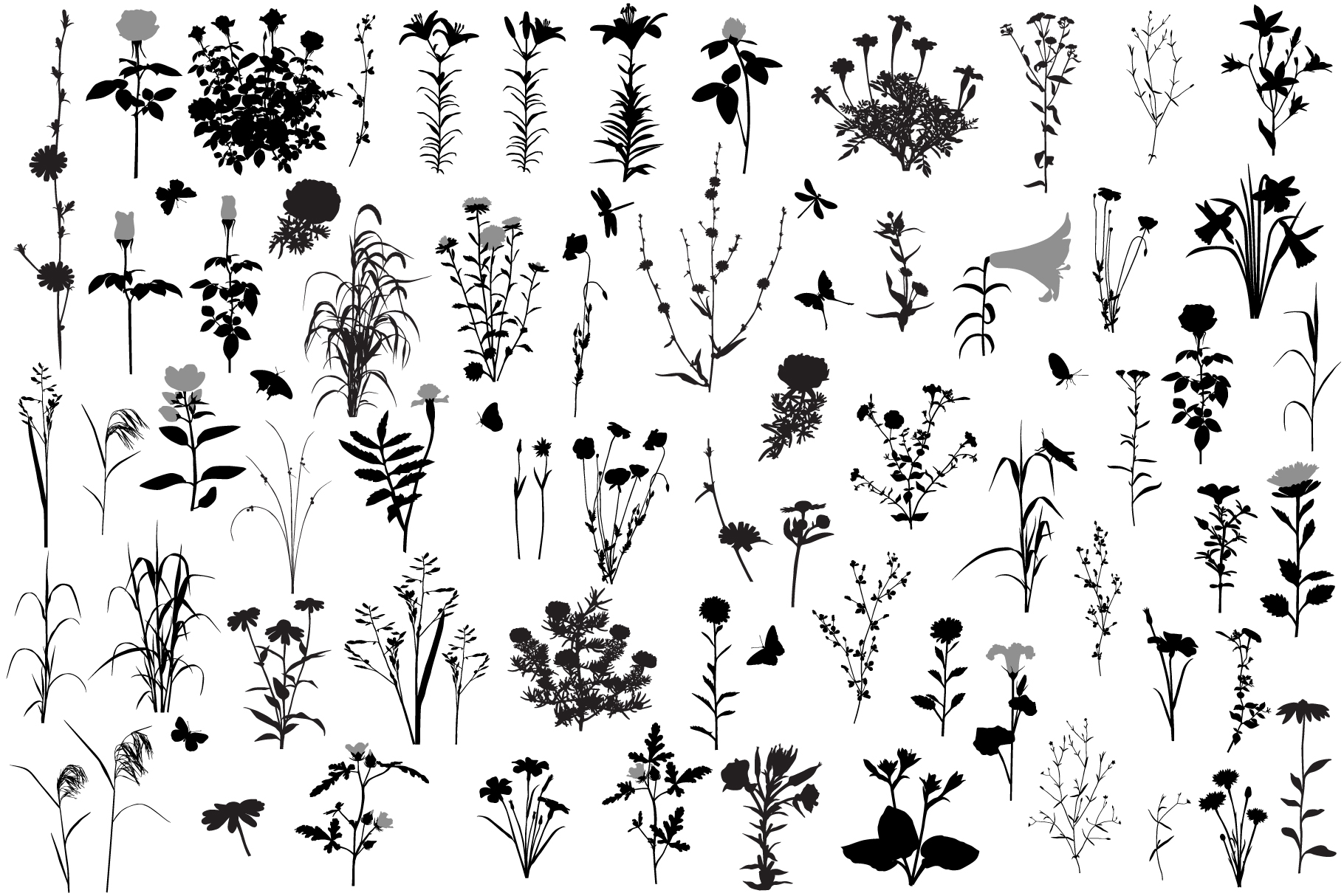 66 silhouettes of flowers and plants (109460) | Illustrations | Design ...