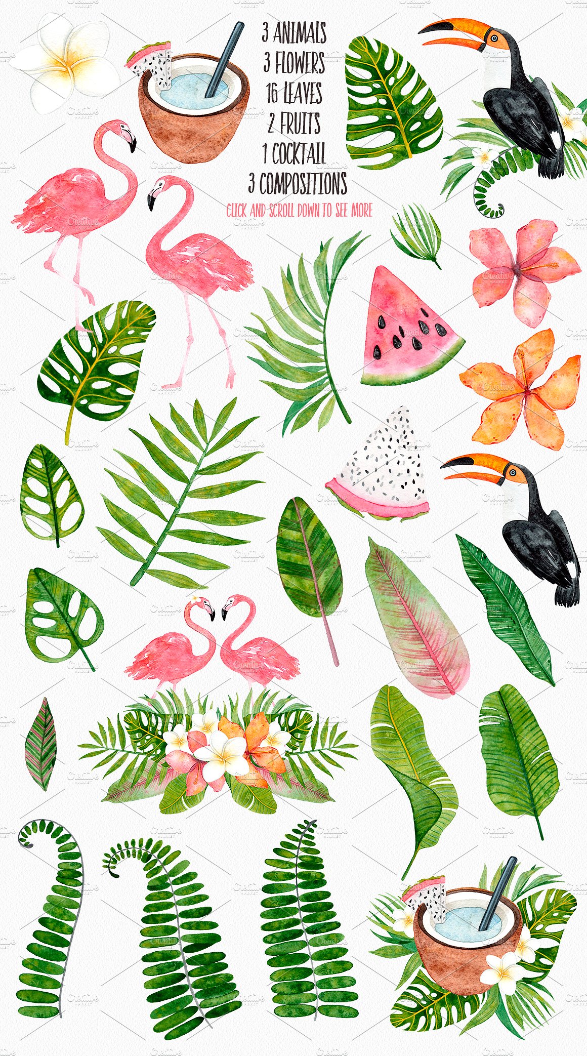 TROPICAL SUMMER watercolor set