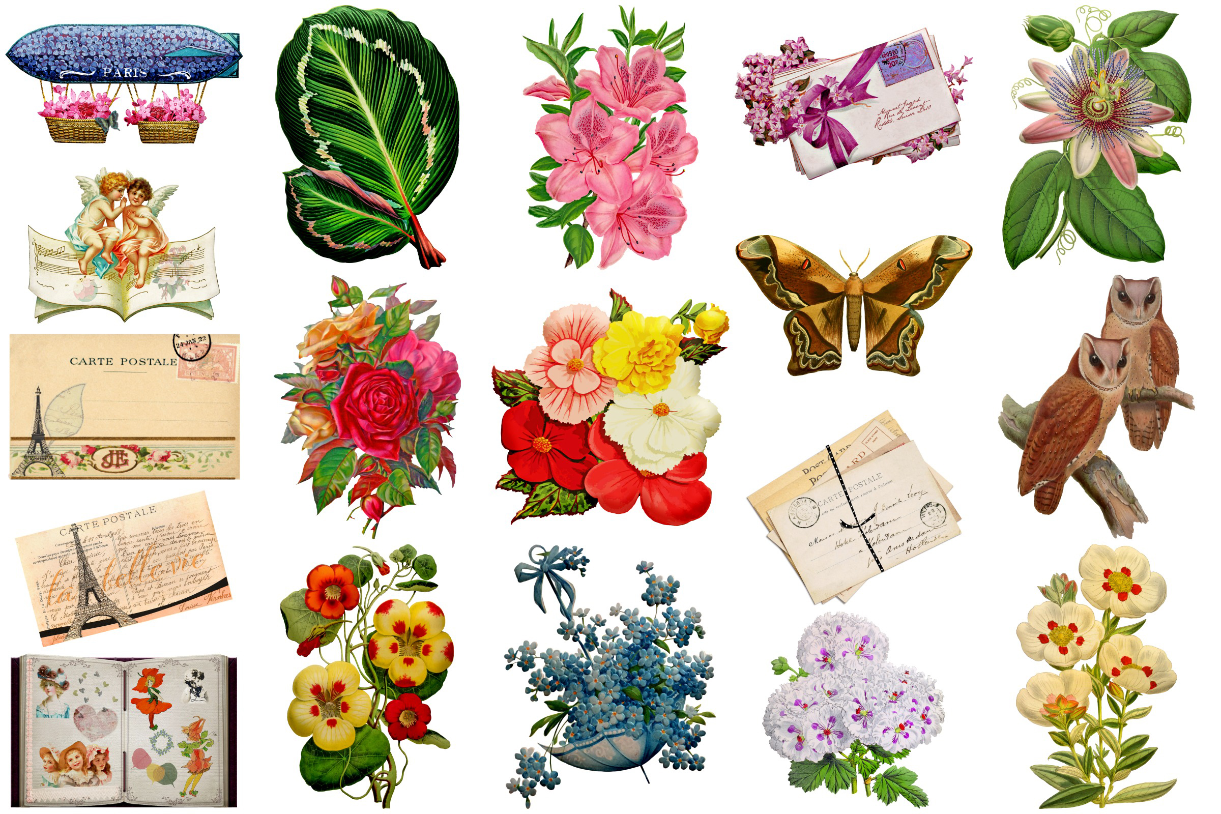 Vintage Floral & Ephemera Clip Art, Victorian Images (162326 ...