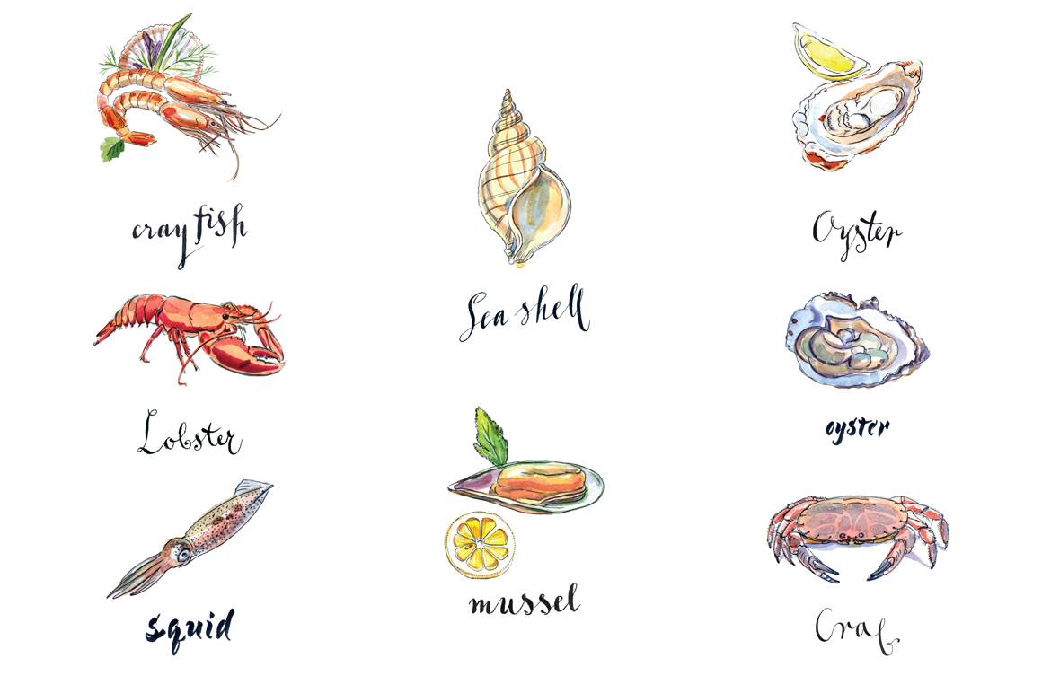 Watercolor shellfish set