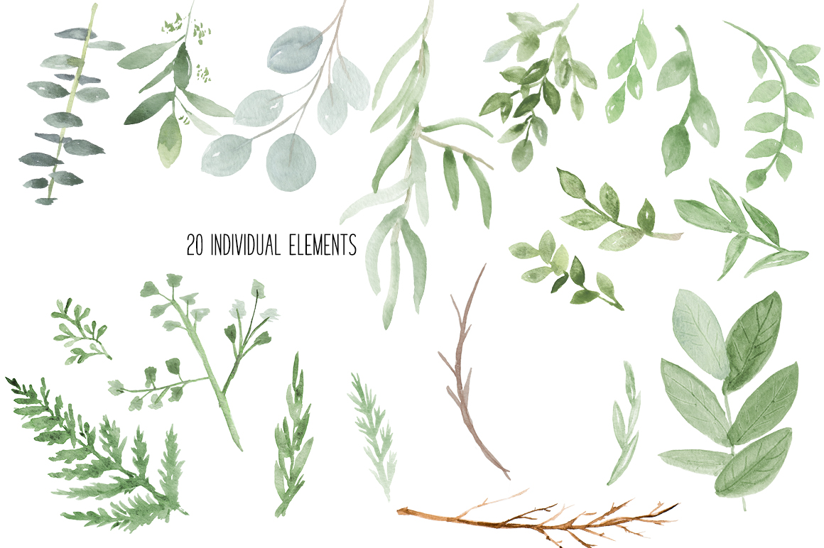 Watercolor Greenery Botanical clip art PNG Bundle (93552 ...