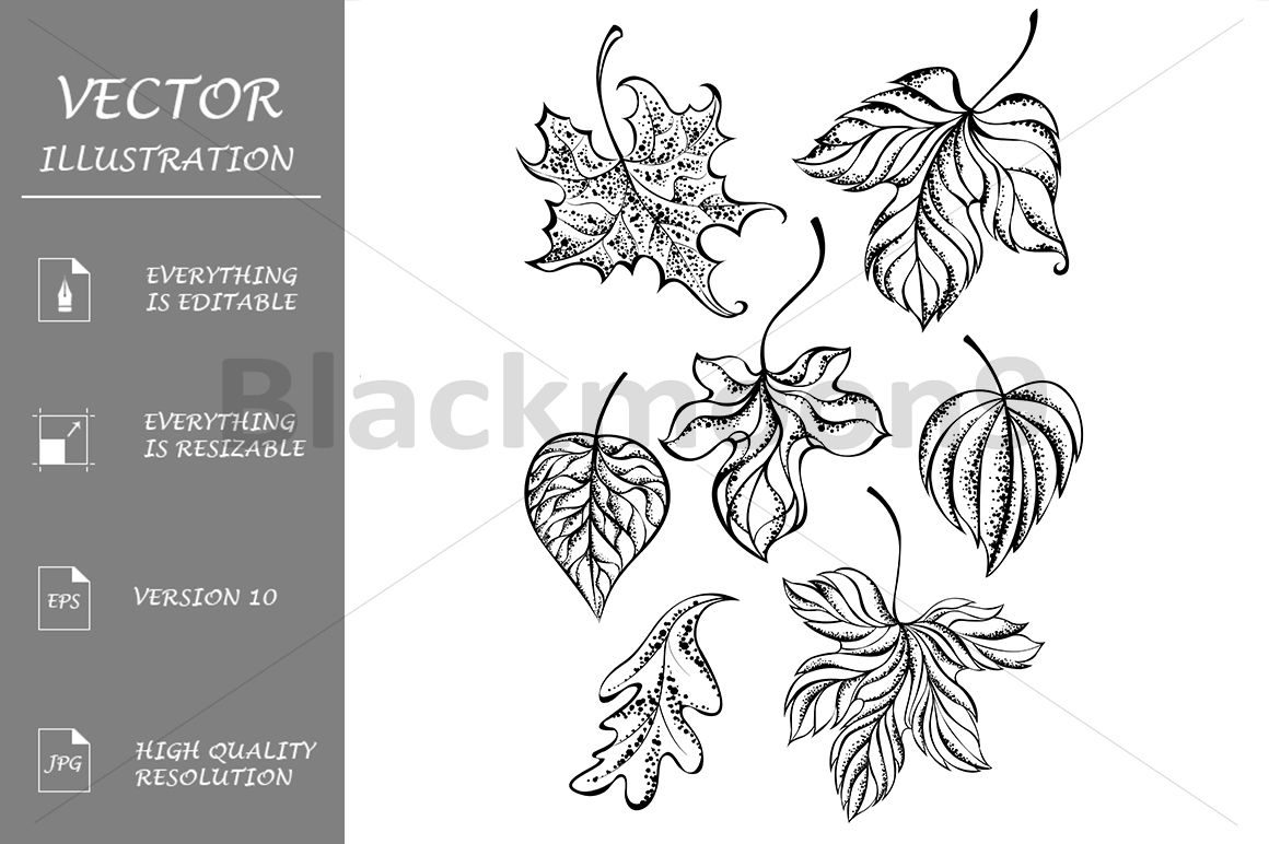 Set of Contour Leaves (33595) | Illustrations | Design Bundles