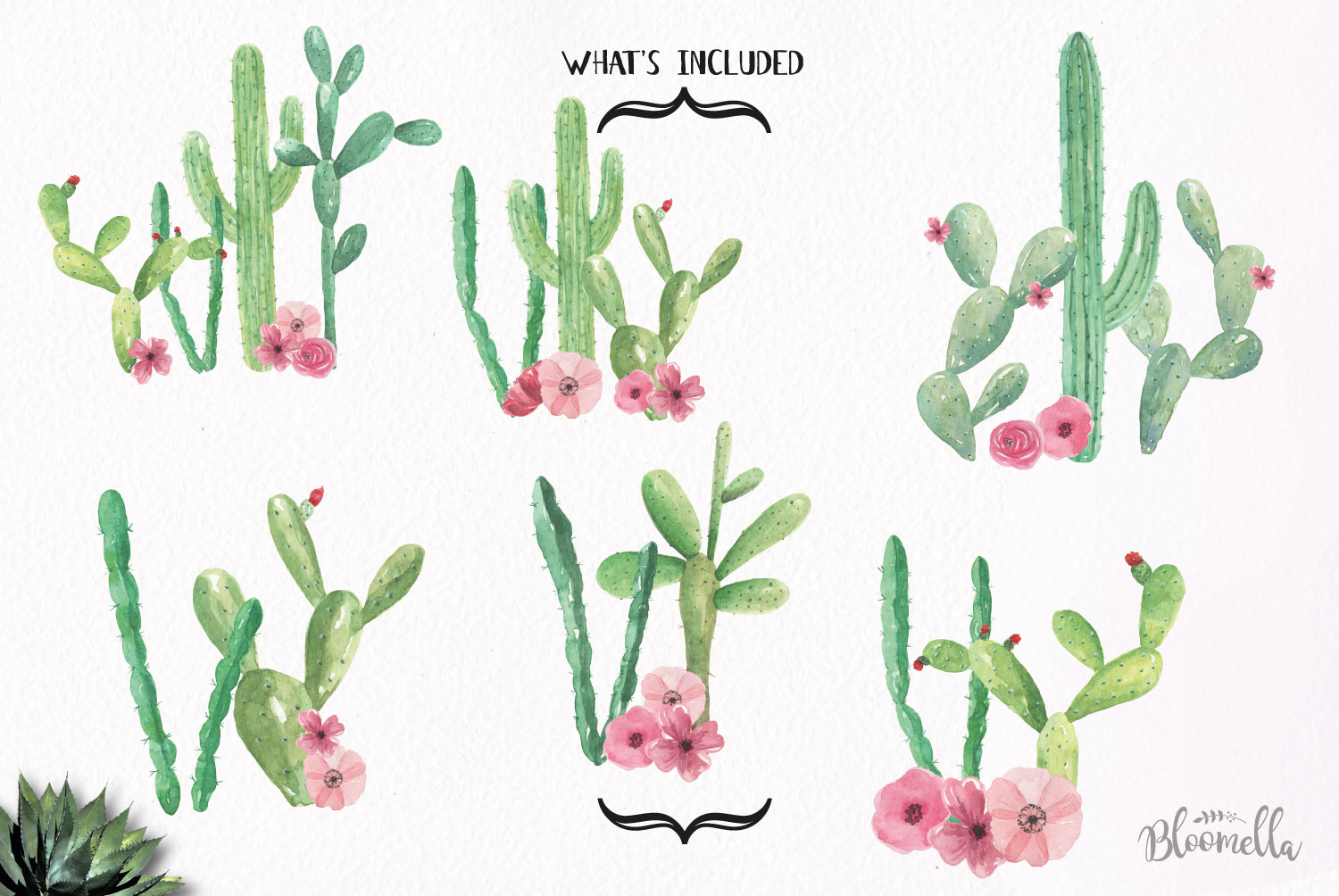 Watercolor Cacti Cacti Cactus Clipart Bouquets Arrangements Flowers