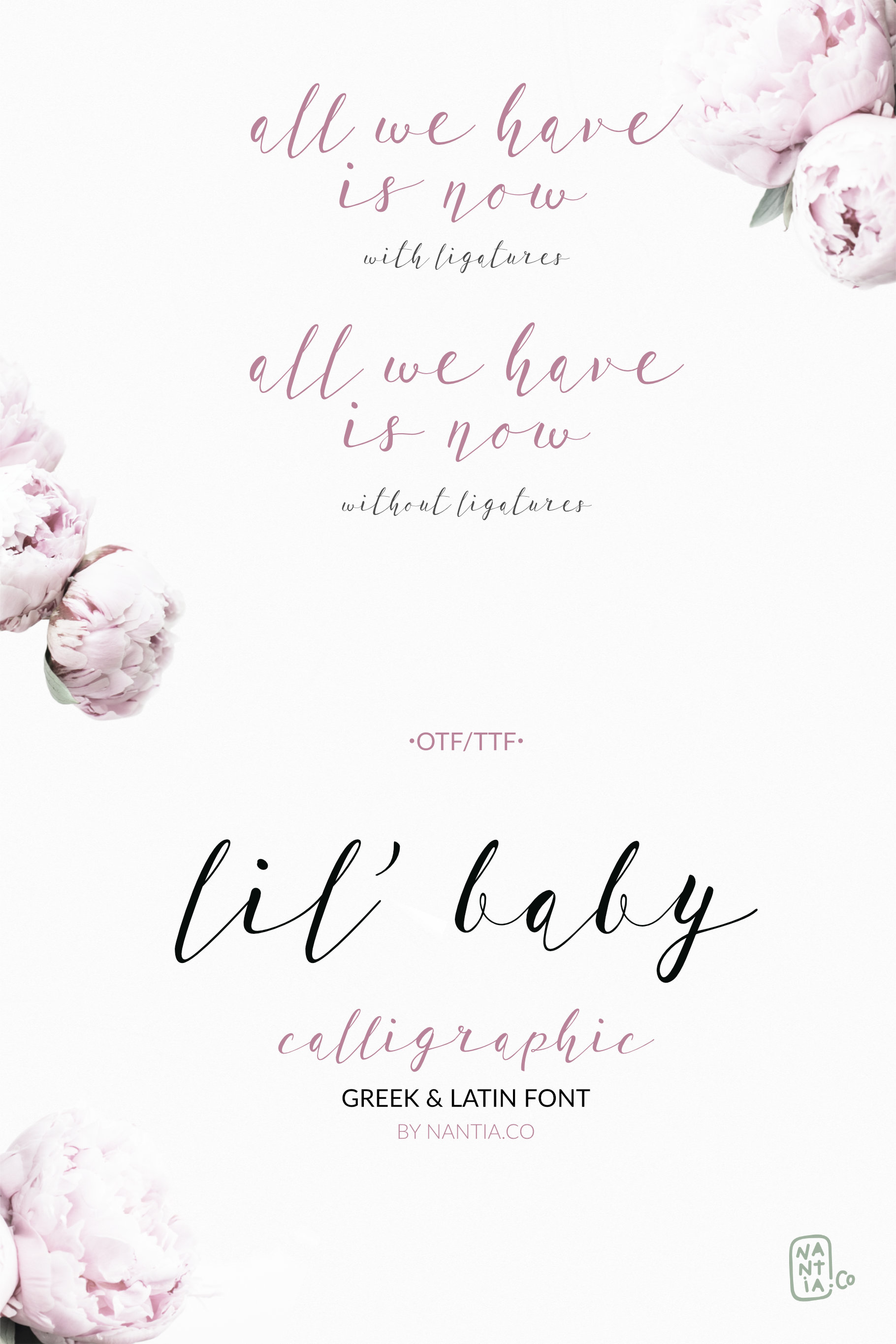 Lil'Baby Script Font (25156) | Calligraphy | Font Bundles